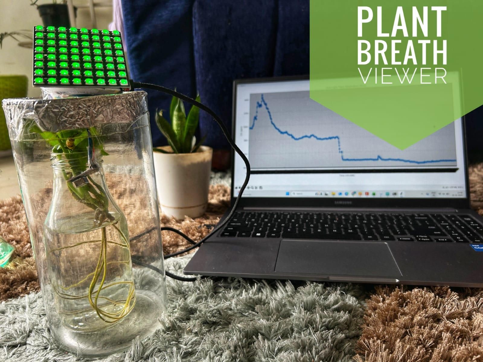 PhytoPulse: Visualising Hidden Respiration Cycle : 6 Steps - Instructables