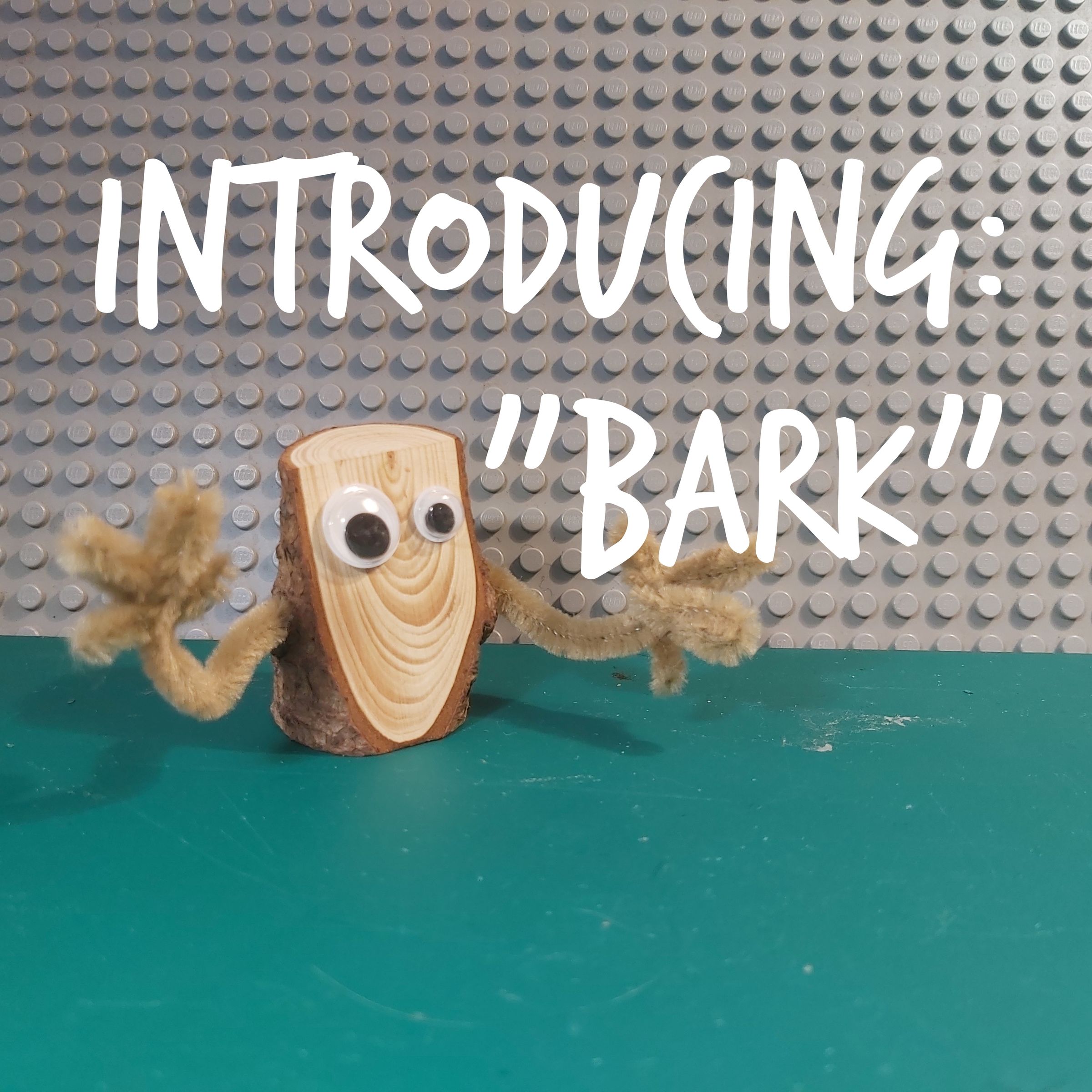 Introducing: Bark : 7 Steps (with Pictures) - Instructables