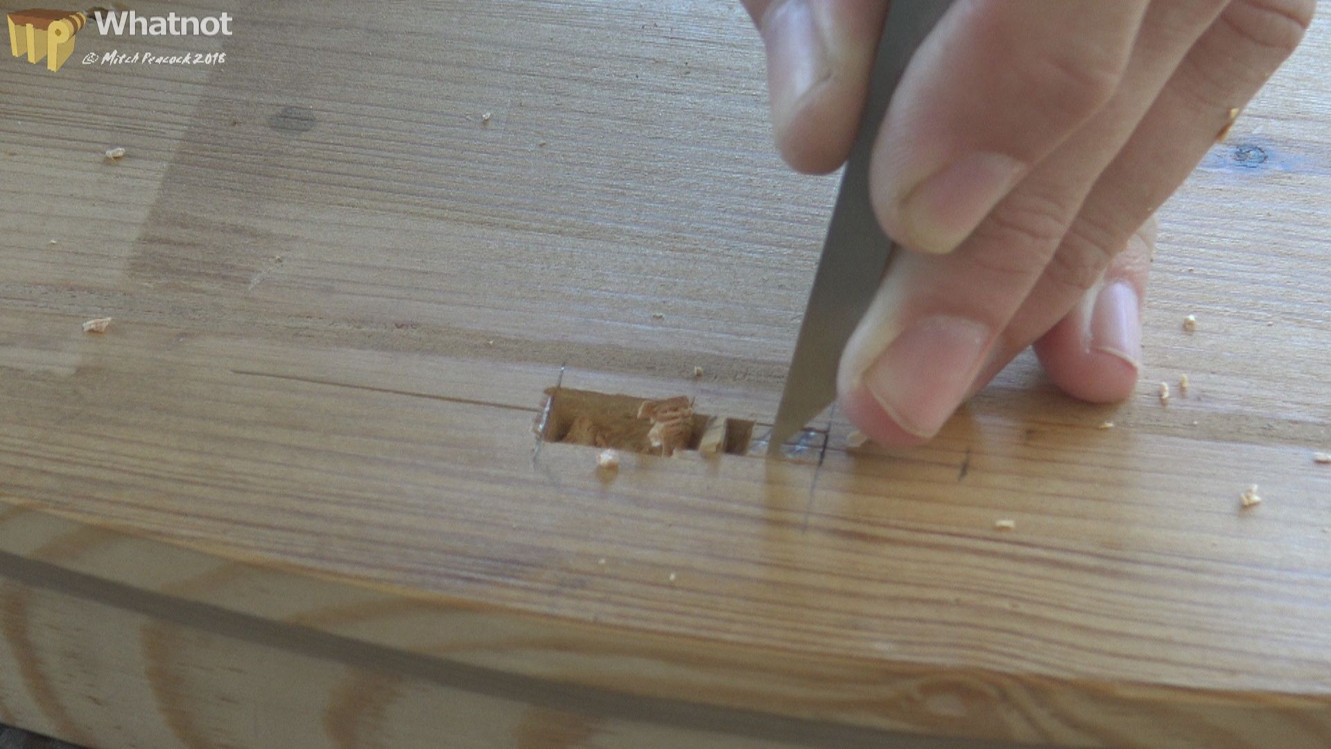 Make a Natural Whatnot : 6 Steps - Instructables