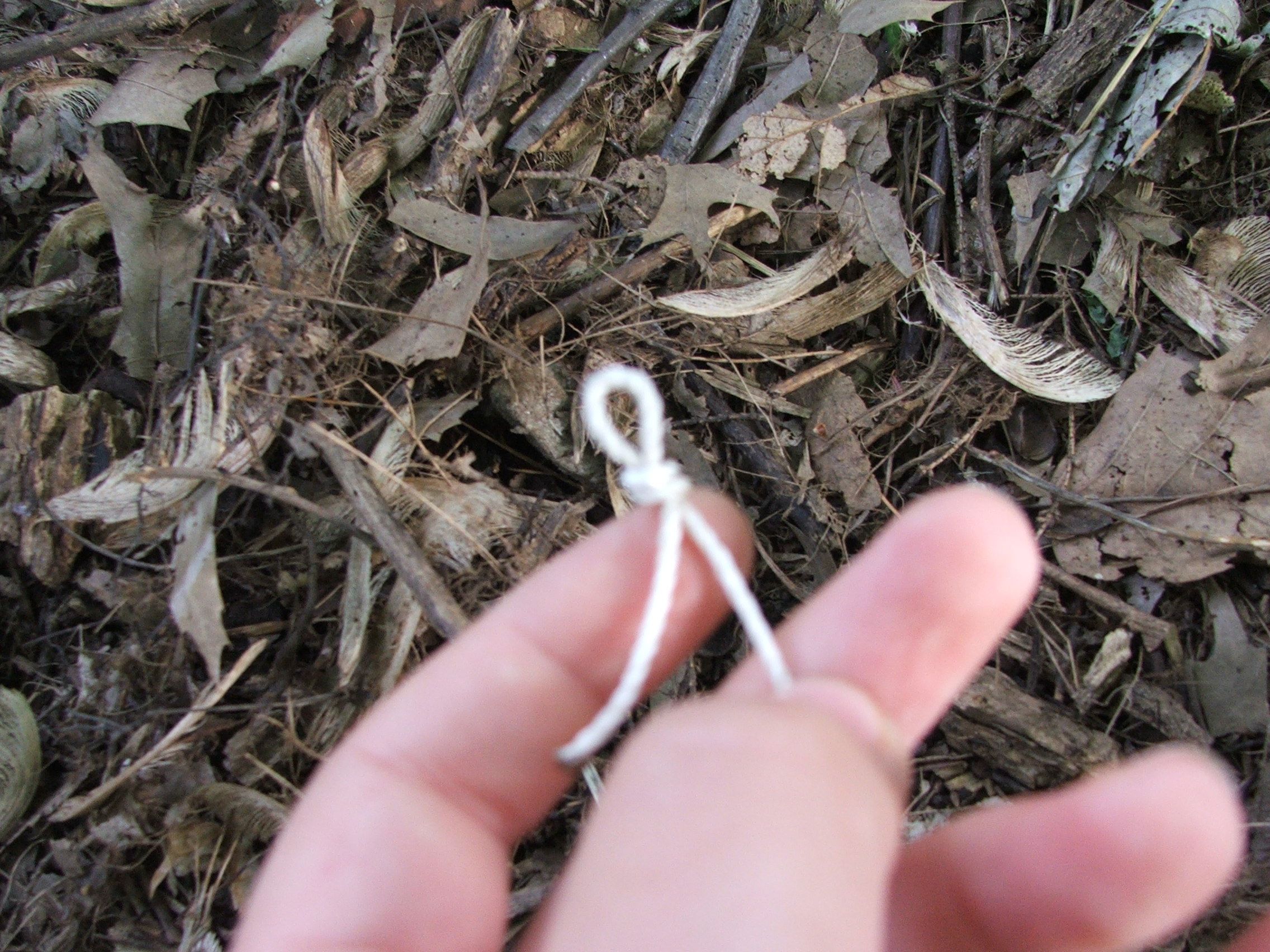 Survival Snare : 3 Steps - Instructables