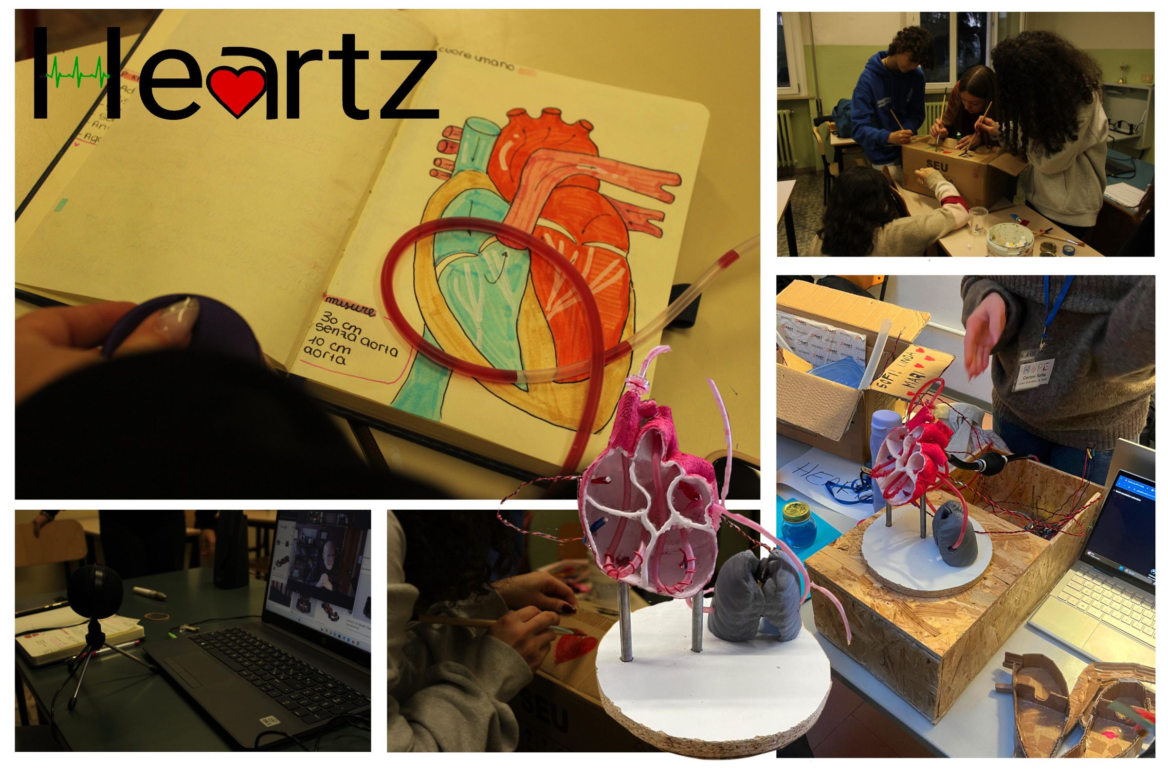 Heartz - an Anatomycal Heart Model : 4 Steps - Instructables