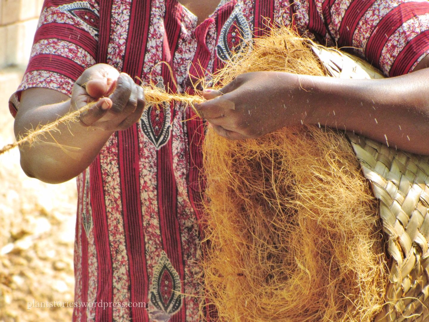 31 Unusual Uses for Coconuts : 31 Steps (with Pictures) - Instructables