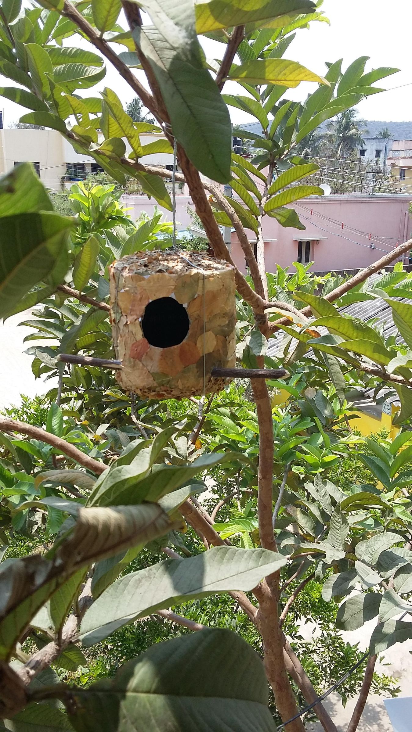 Cardboard Birds Nest Box : 12 Steps (with Pictures) - Instructables