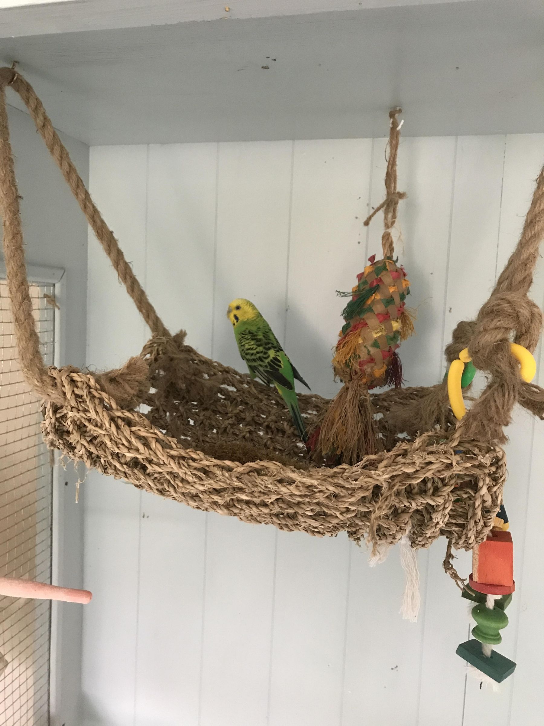 Turn a China Cabinet Into a Deluxe Bird Cage : 5 Steps - Instructables