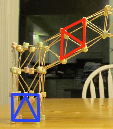 Marshmallow And Toothpick Structures