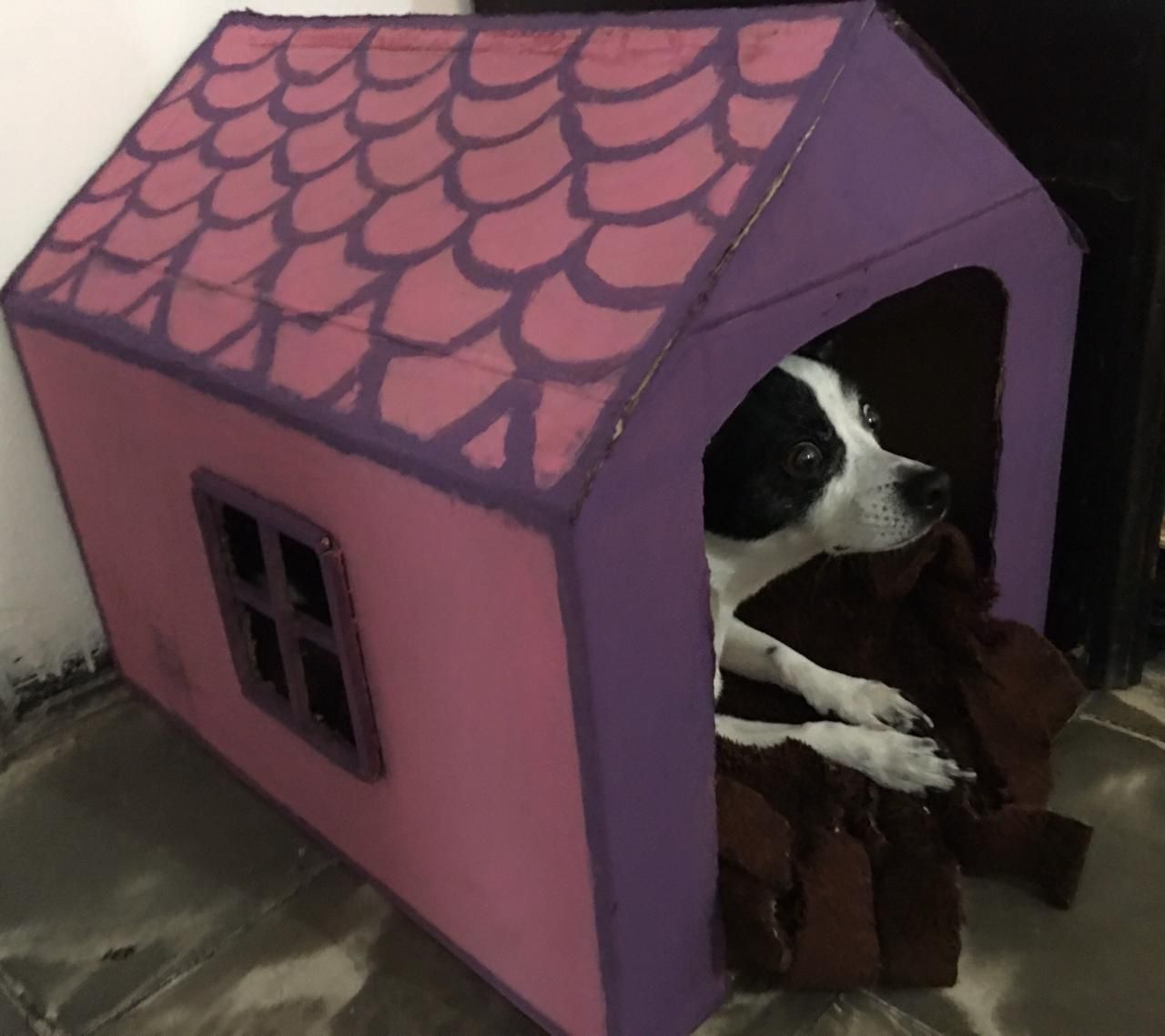 HIDEY HOUSE FOR FURRY FRIENDS!!! : 10 Steps - Instructables