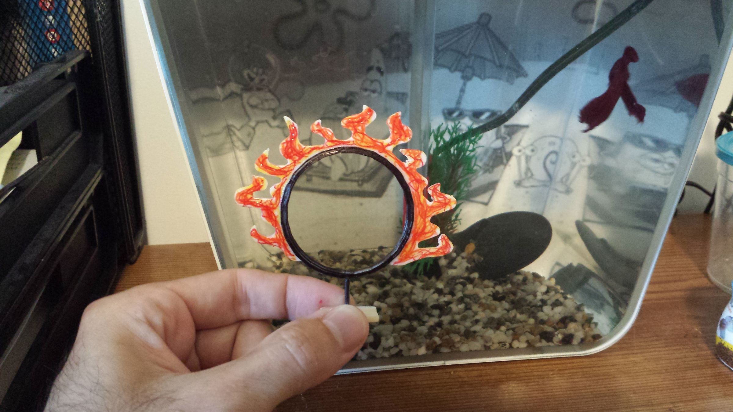 Flaming Fish Hoop - Instructables