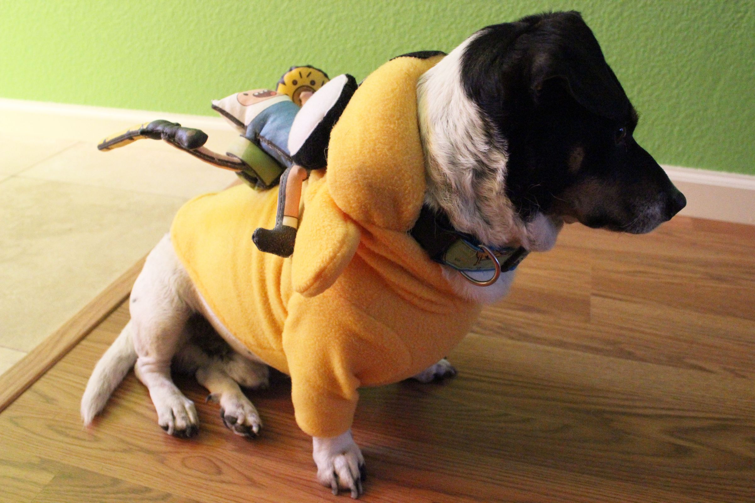 Adventure Time Jake Costume
