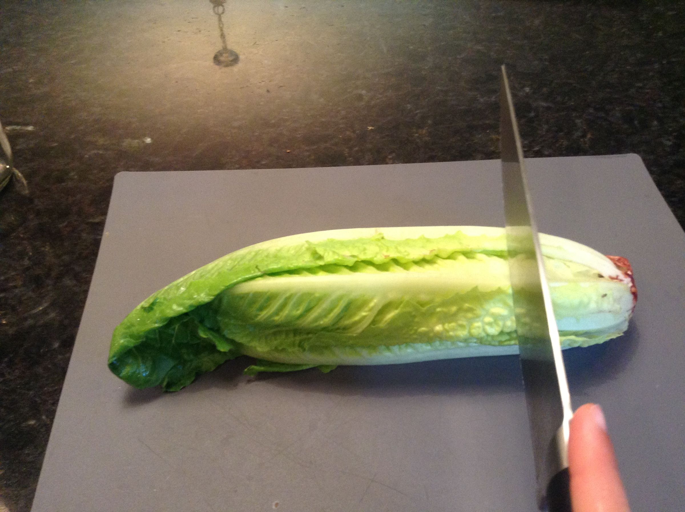 Regrow Lettuce and Celery Scraps Indoors (Super Easy!) : 7 Steps (with ...