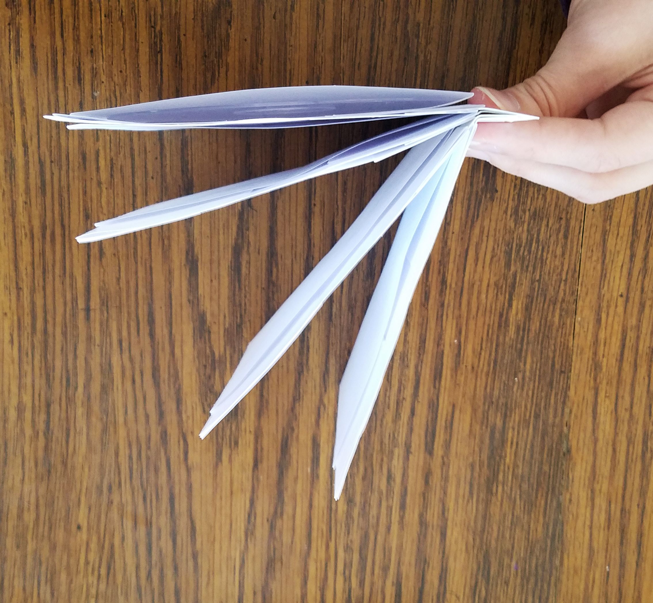 Paper CD Case : 10 Steps - Instructables