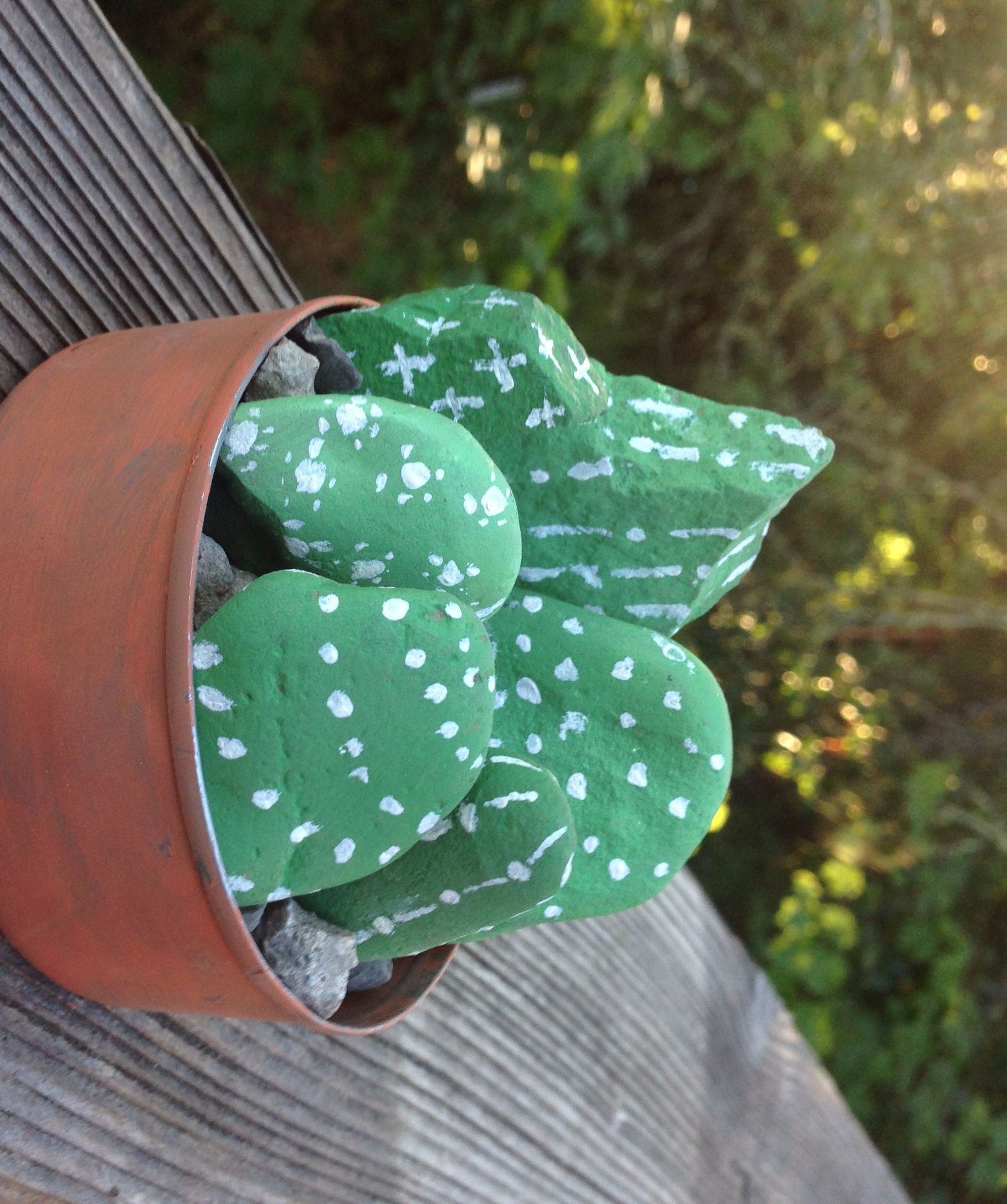 Mini Cactus Rock Garden : 6 Steps (with Pictures) - Instructables