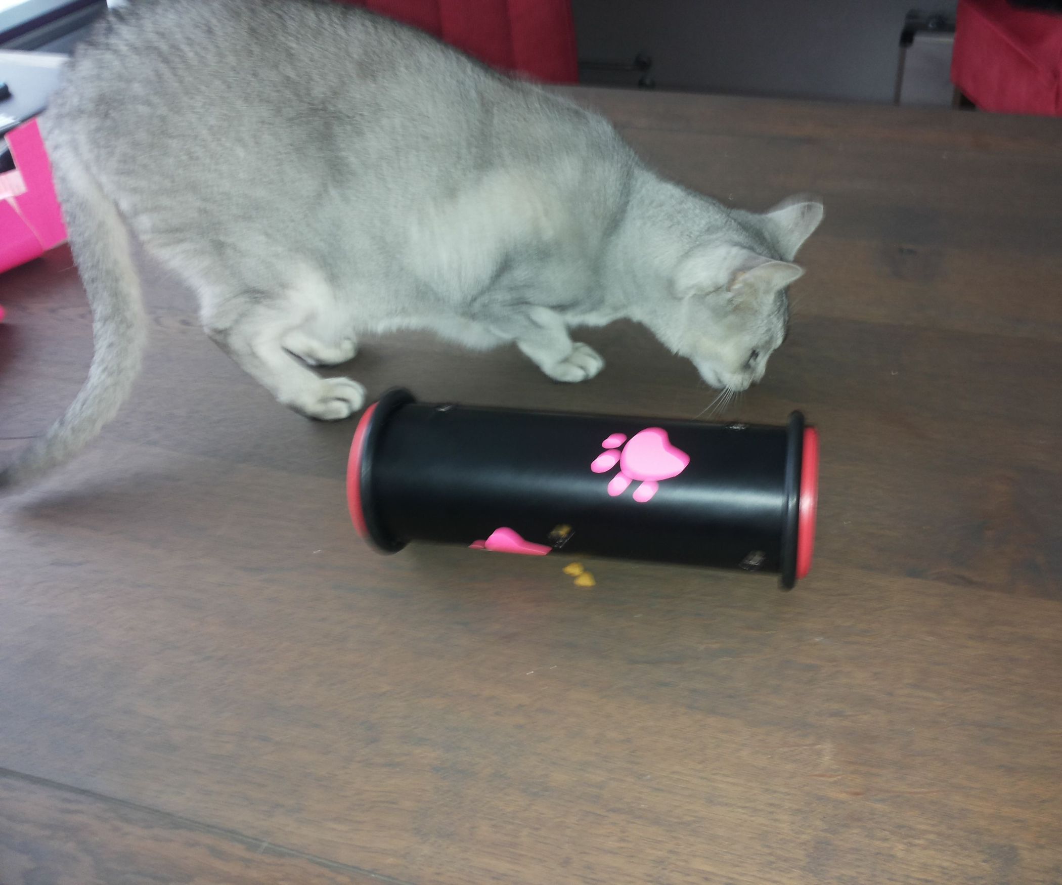 Cat Toy Kitty Codex (other Pets Will Love It Too!) : 10 Steps ...