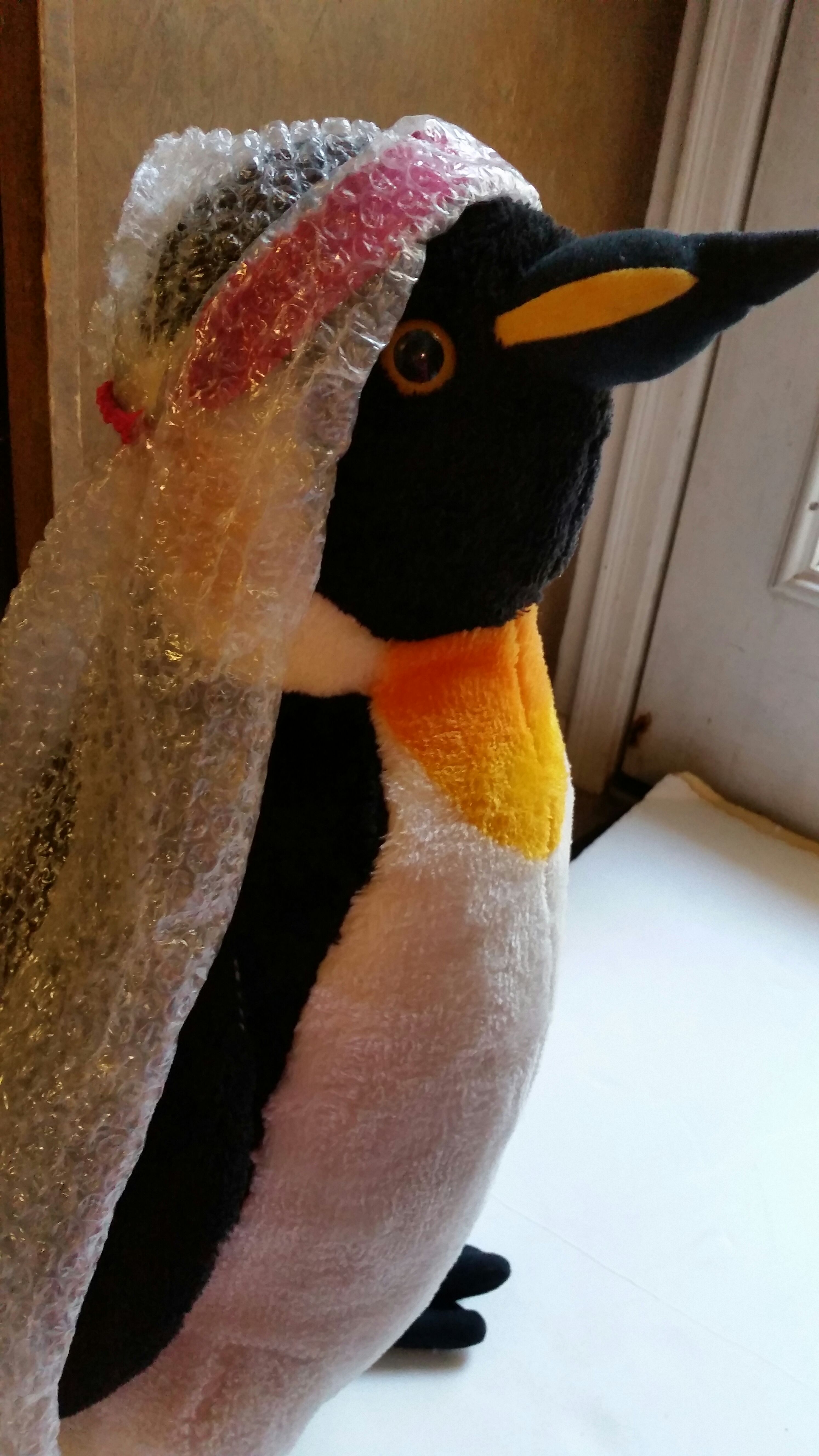 Halloween Costume: Mail Order Bride : 6 Steps (with Pictures ...