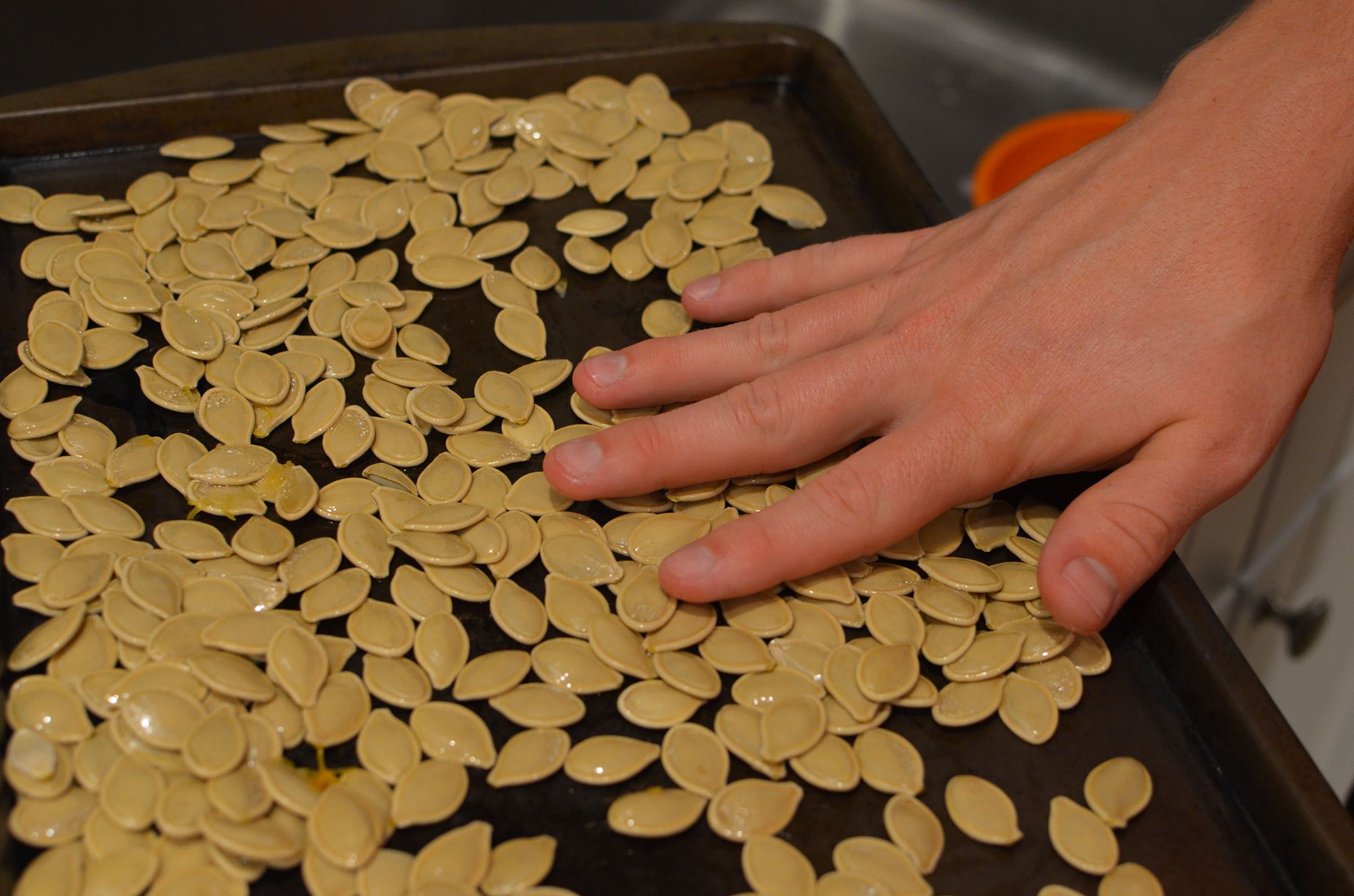 How to Process a Pumpkin : 9 Steps (with Pictures) - Instructables