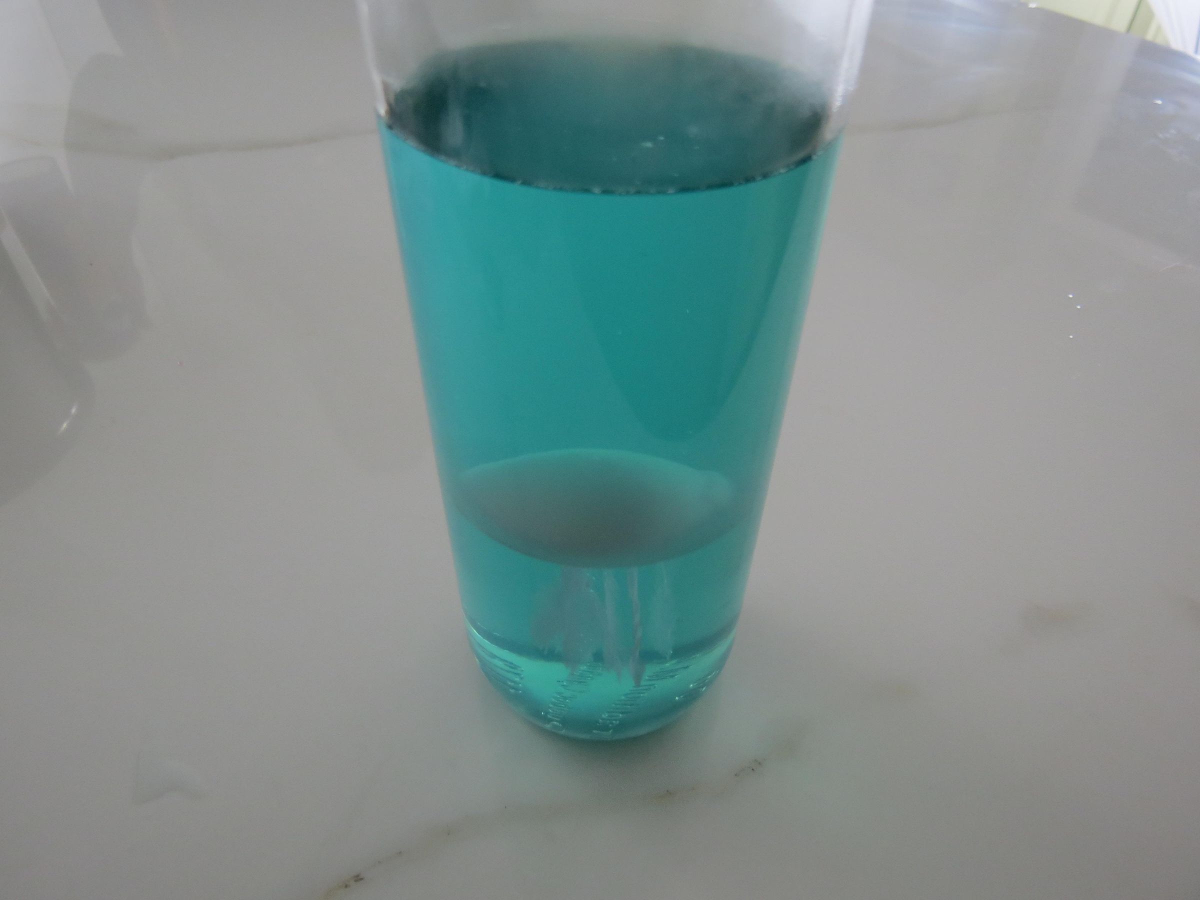 JELLO Jellyfish Aquarium : 9 Steps (with Pictures) - Instructables