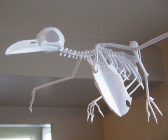 Paper Crow Skeleton : 13 Steps (with Pictures) - Instructables