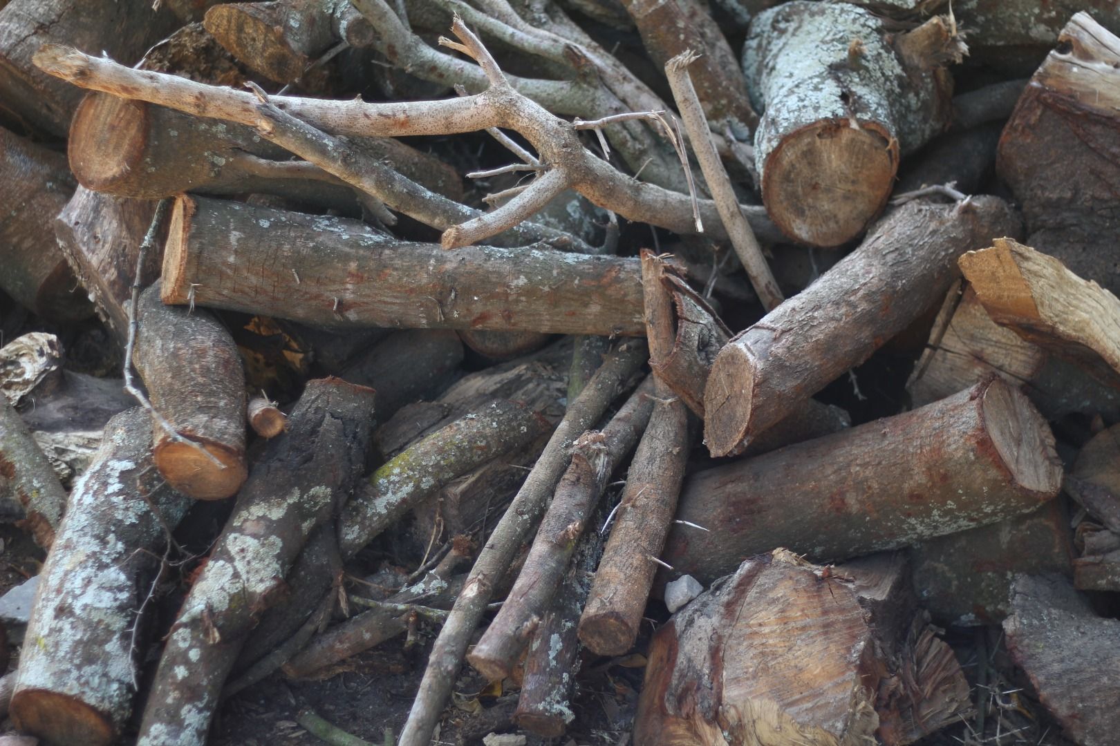 Lichen Gardens : 7 Steps (with Pictures) - Instructables