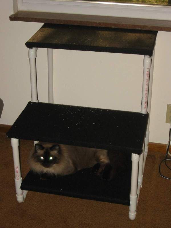 Cat Window Perch : 7 Steps - Instructables