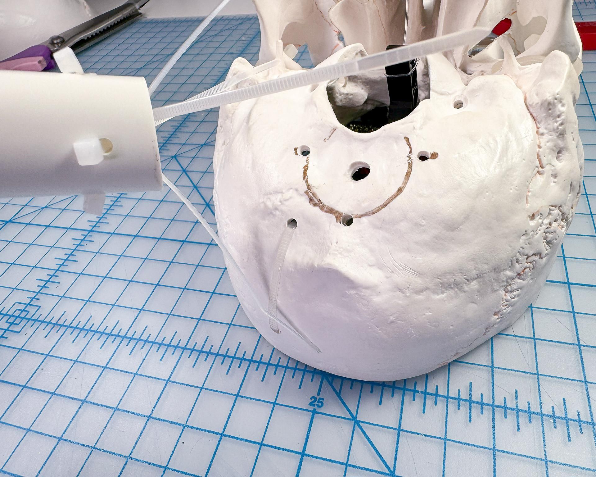 Easy Talking Skull With Micro:bit - Remote Control Animatronic Skull ...