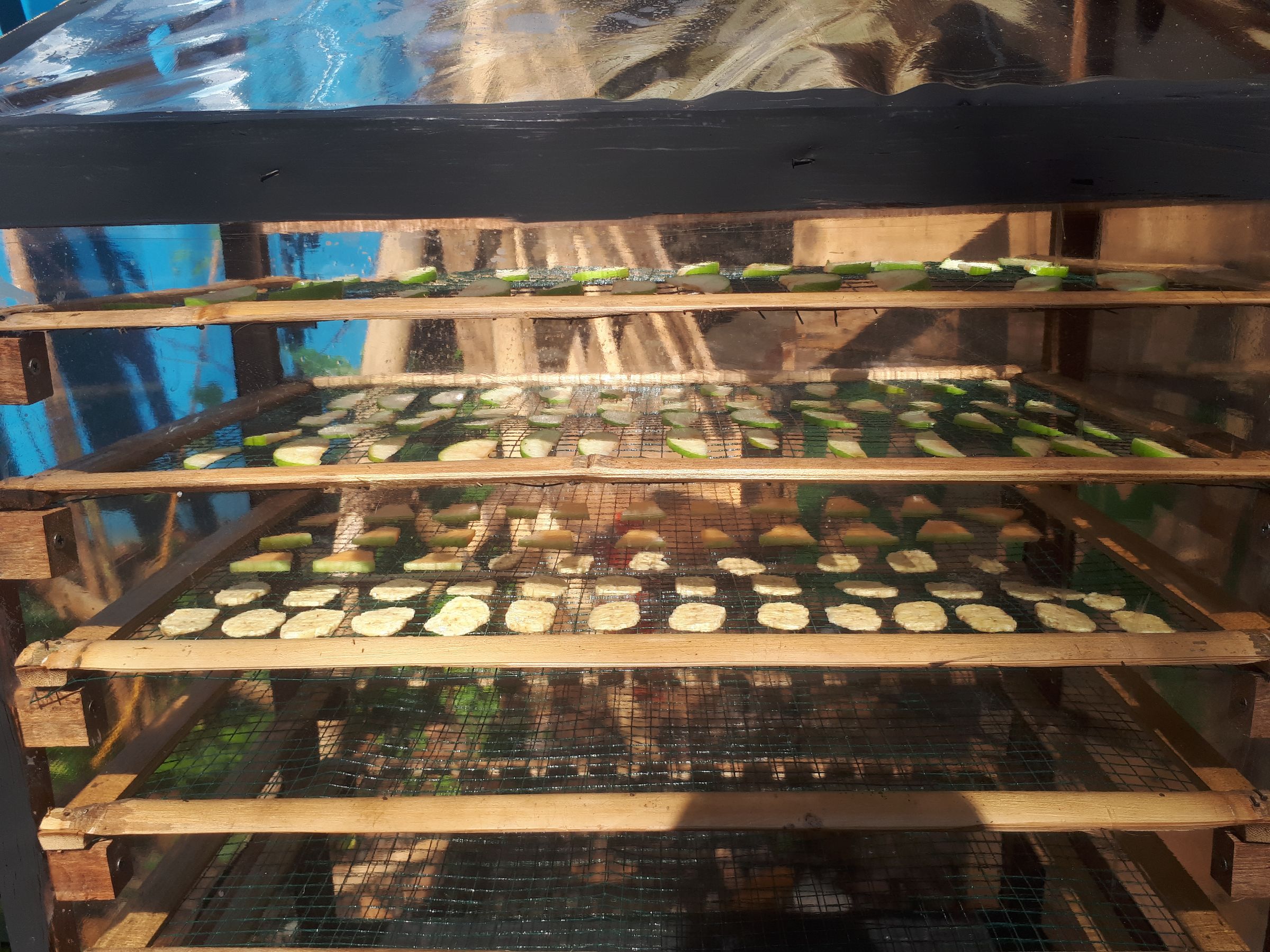 Crunchy Dried Fruits - Sun Dryer : 9 Steps - Instructables