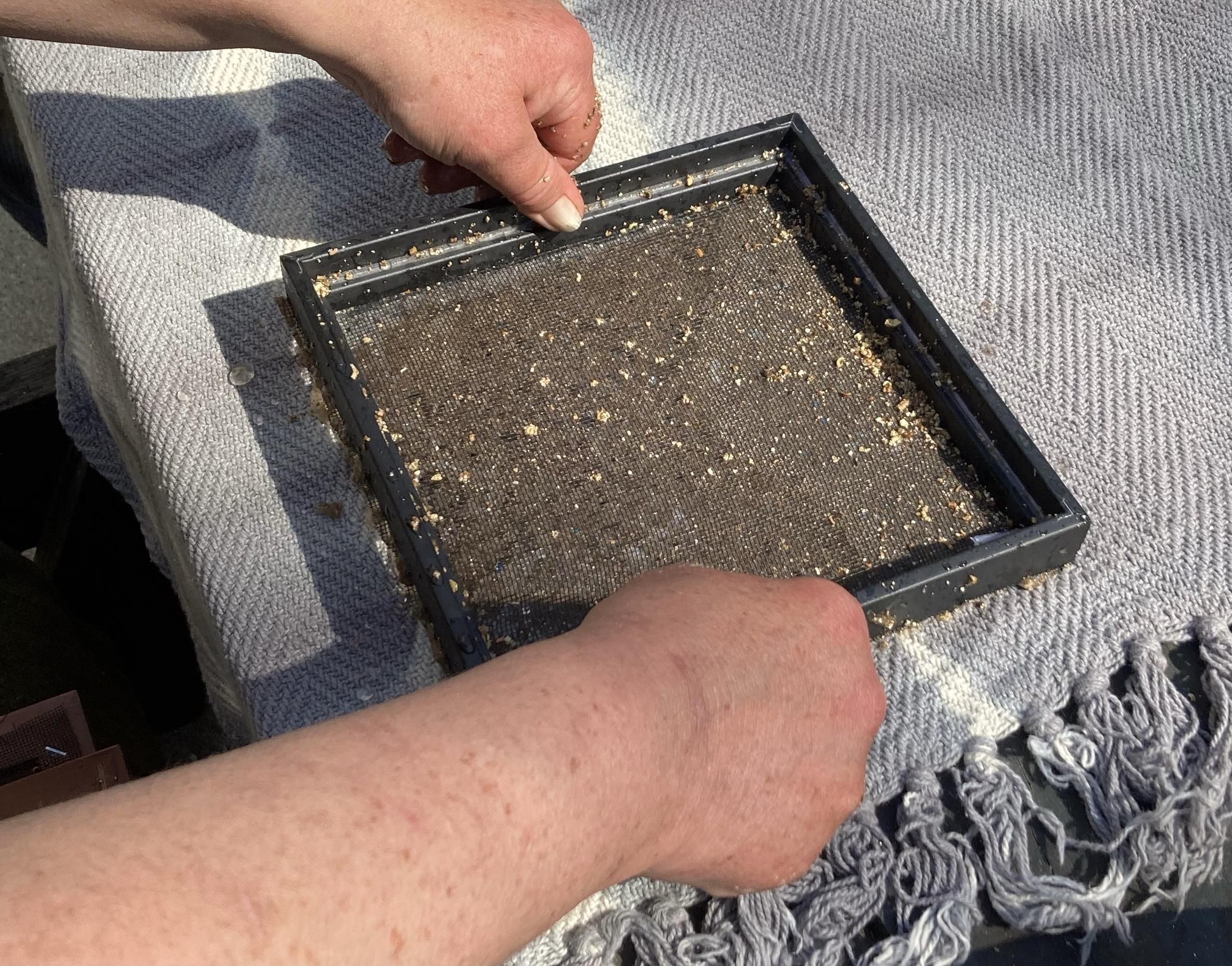 Seed Paper From Used Cardboard Boxes : 8 Steps (with Pictures ...