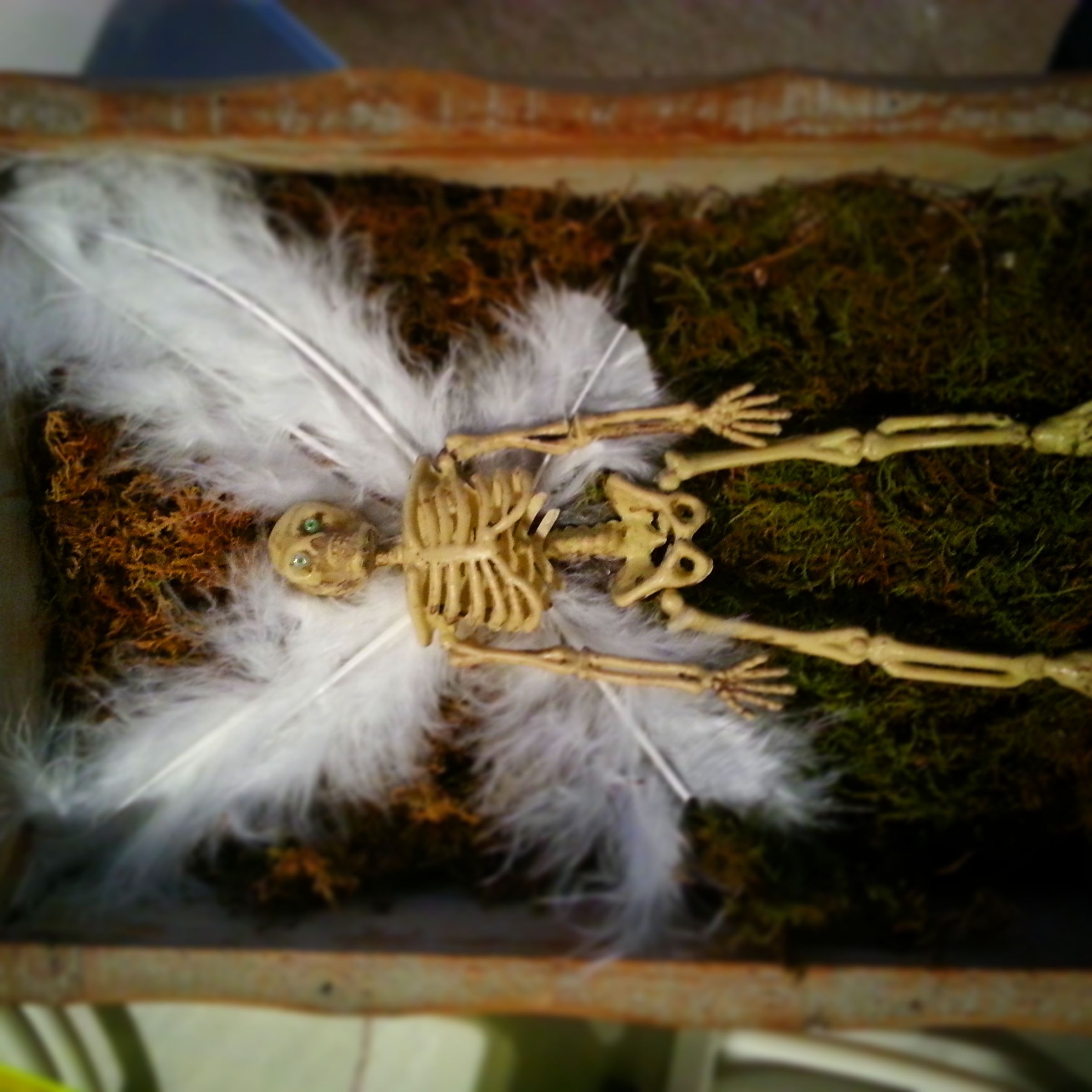Dead Fairies Part 3 : 5 Steps - Instructables
