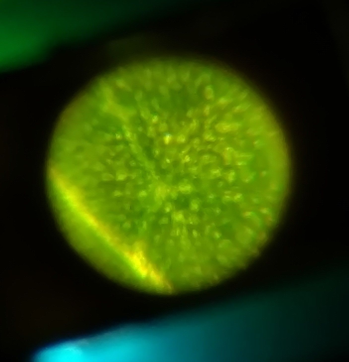 Pocket E-Waste Microscope : 6 Steps (with Pictures) - Instructables