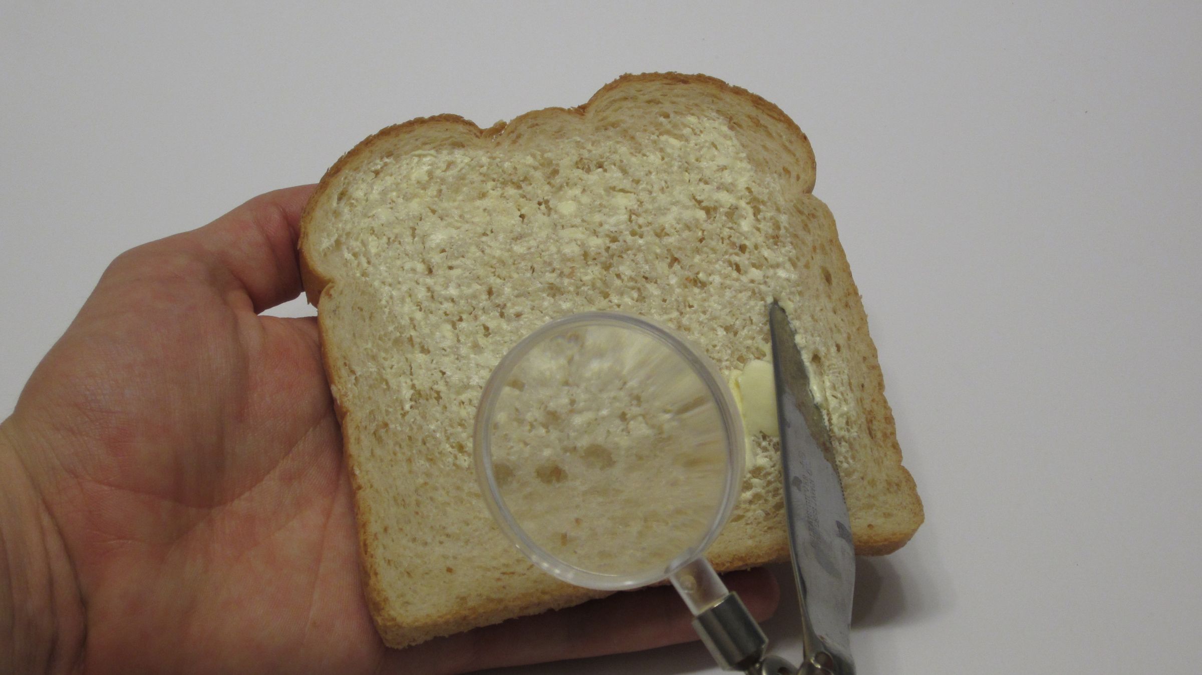 Chindogu: Food Magnifier (with Pictures) - Instructables