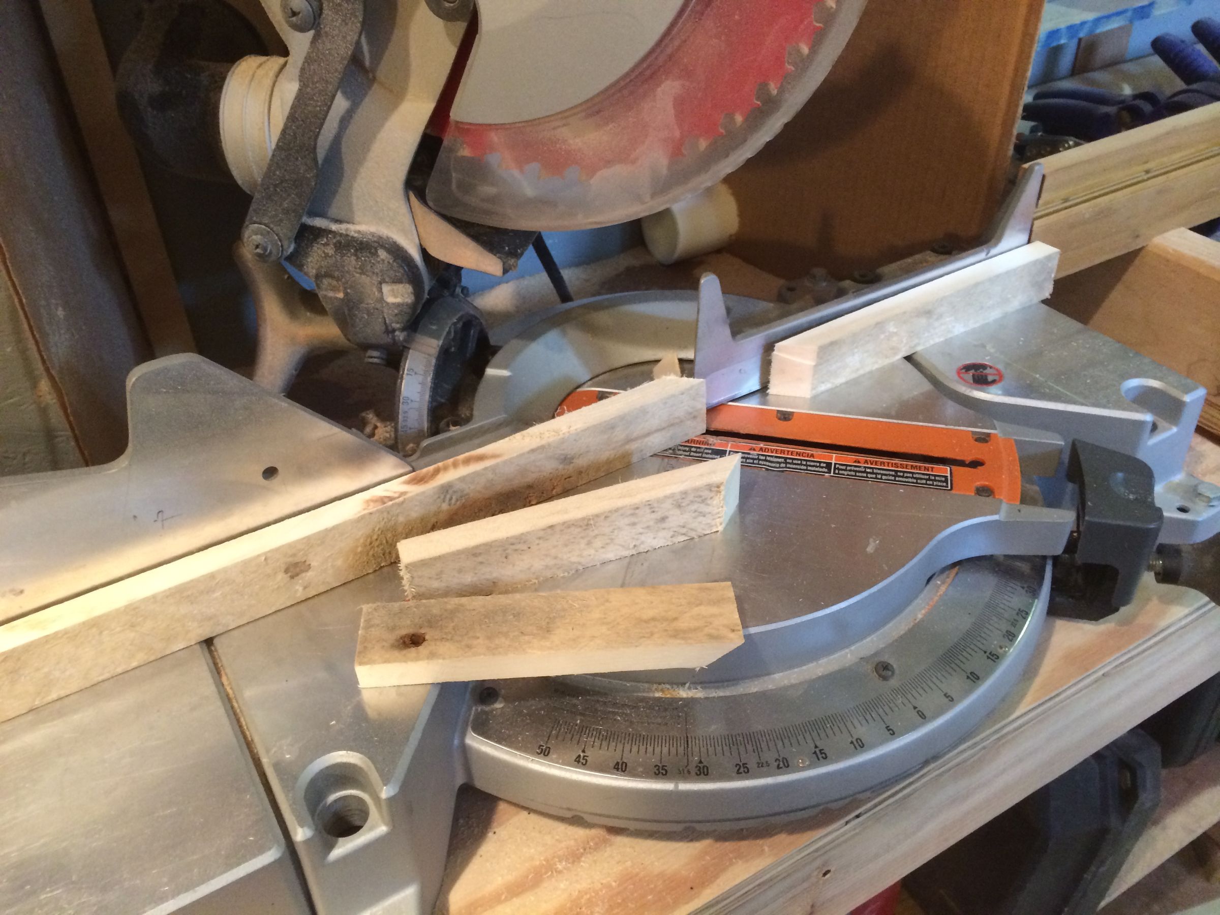 Wild Rabbit Feeder : 6 Steps - Instructables