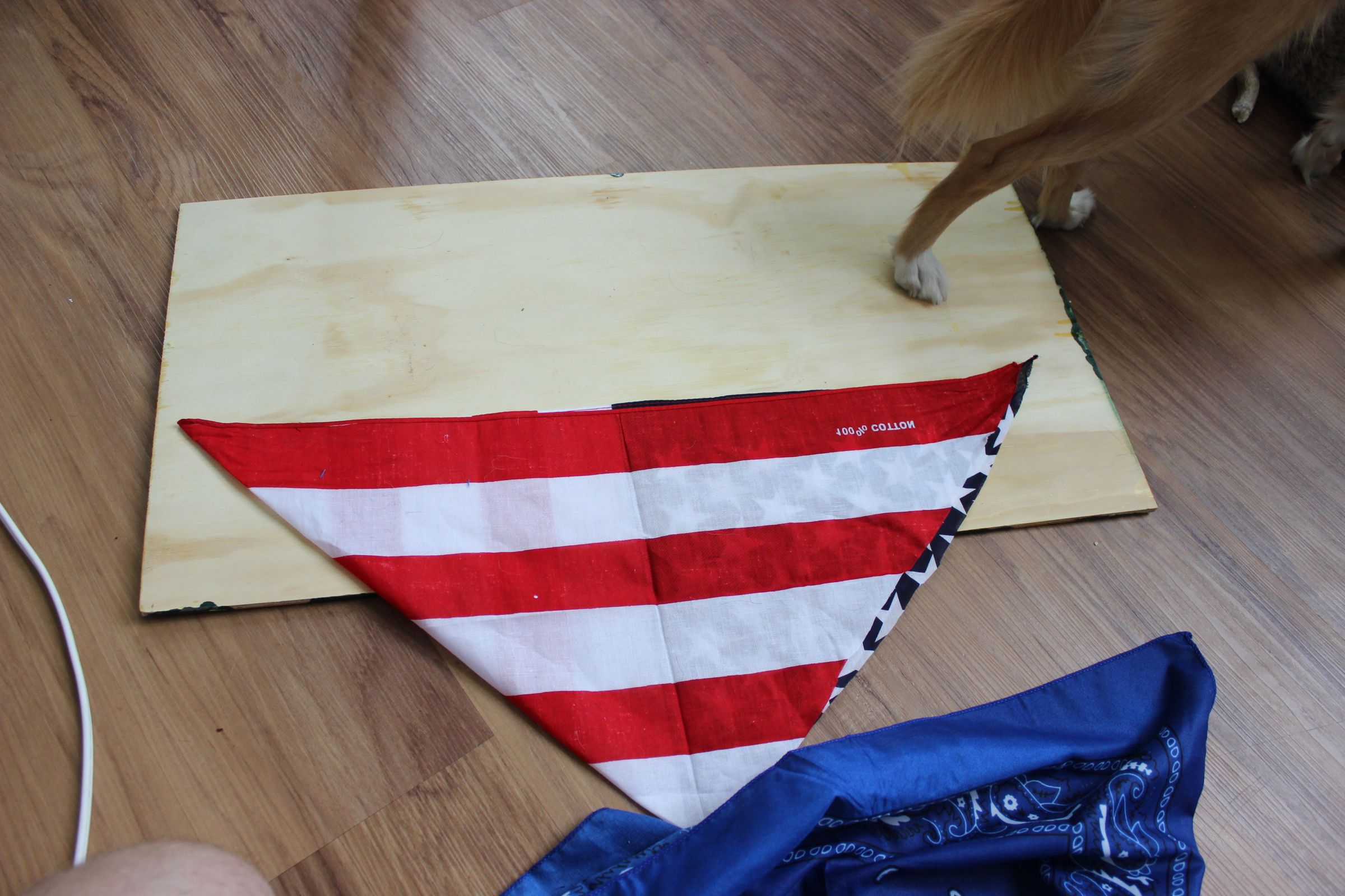 Dog (Or Human) Bandanna Ice Pack : 10 Steps (with Pictures) - Instructables