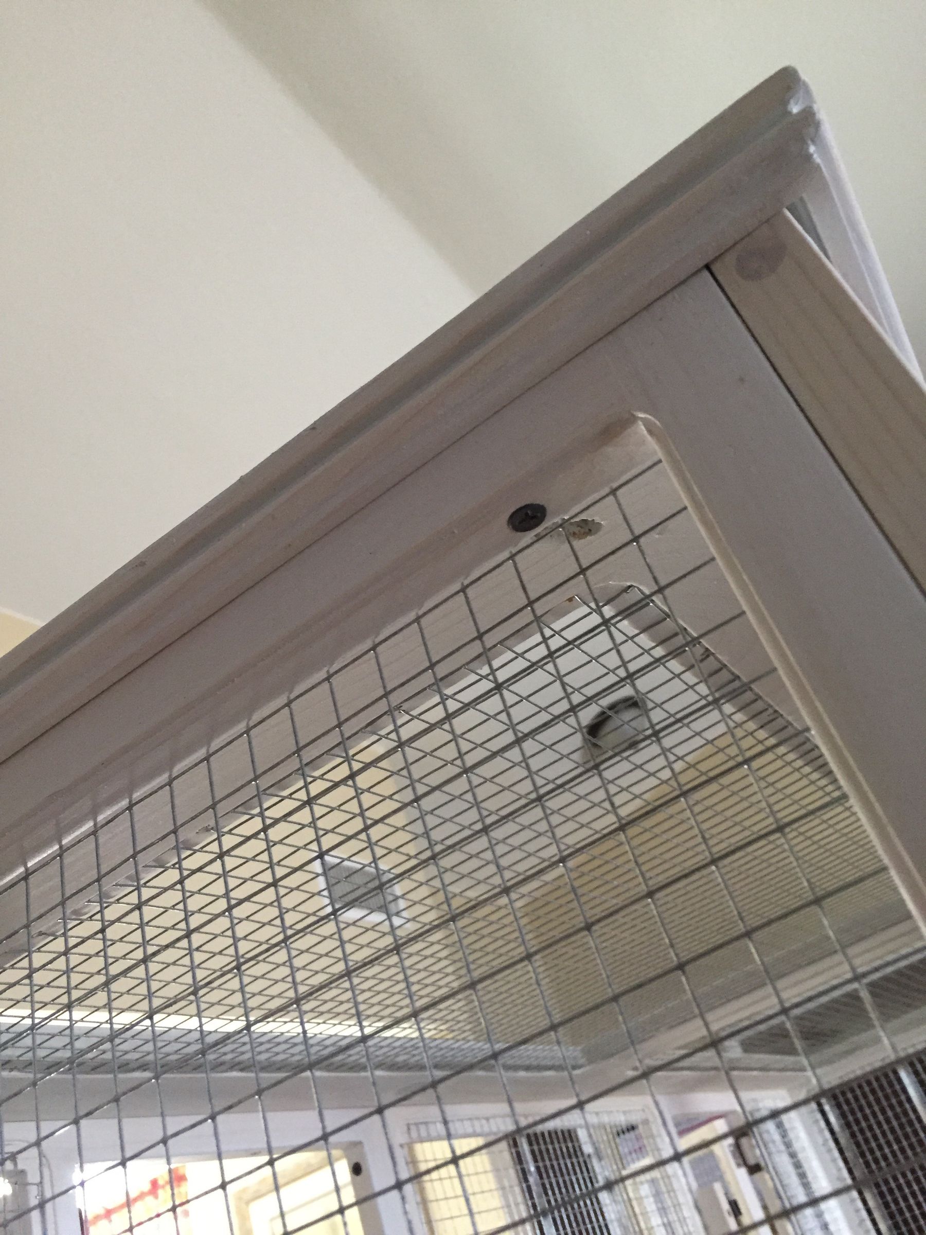 Flight Cage: Assemble Base and Legs : 3 Steps (with Pictures ...