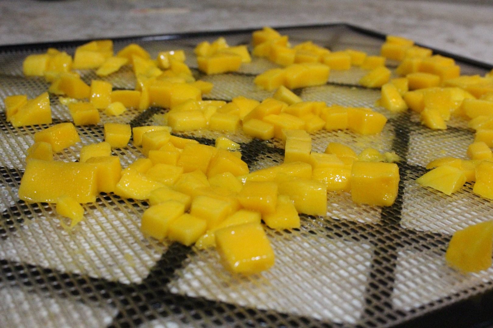 Gourmet Backpacking Desserts : 19 Steps (with Pictures) - Instructables
