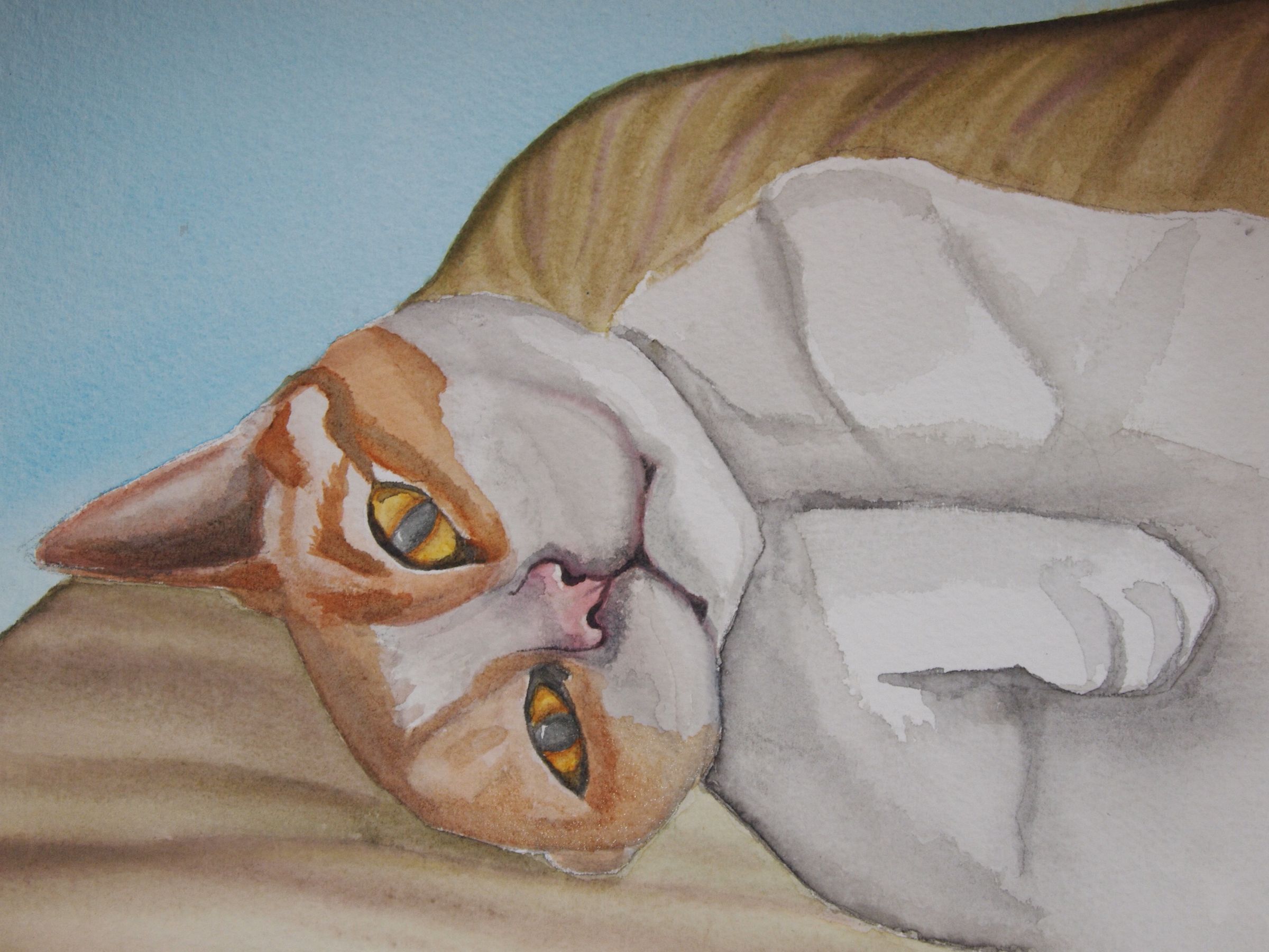 Watercolor Pet Portrait How-To : 7 Steps (with Pictures) - Instructables