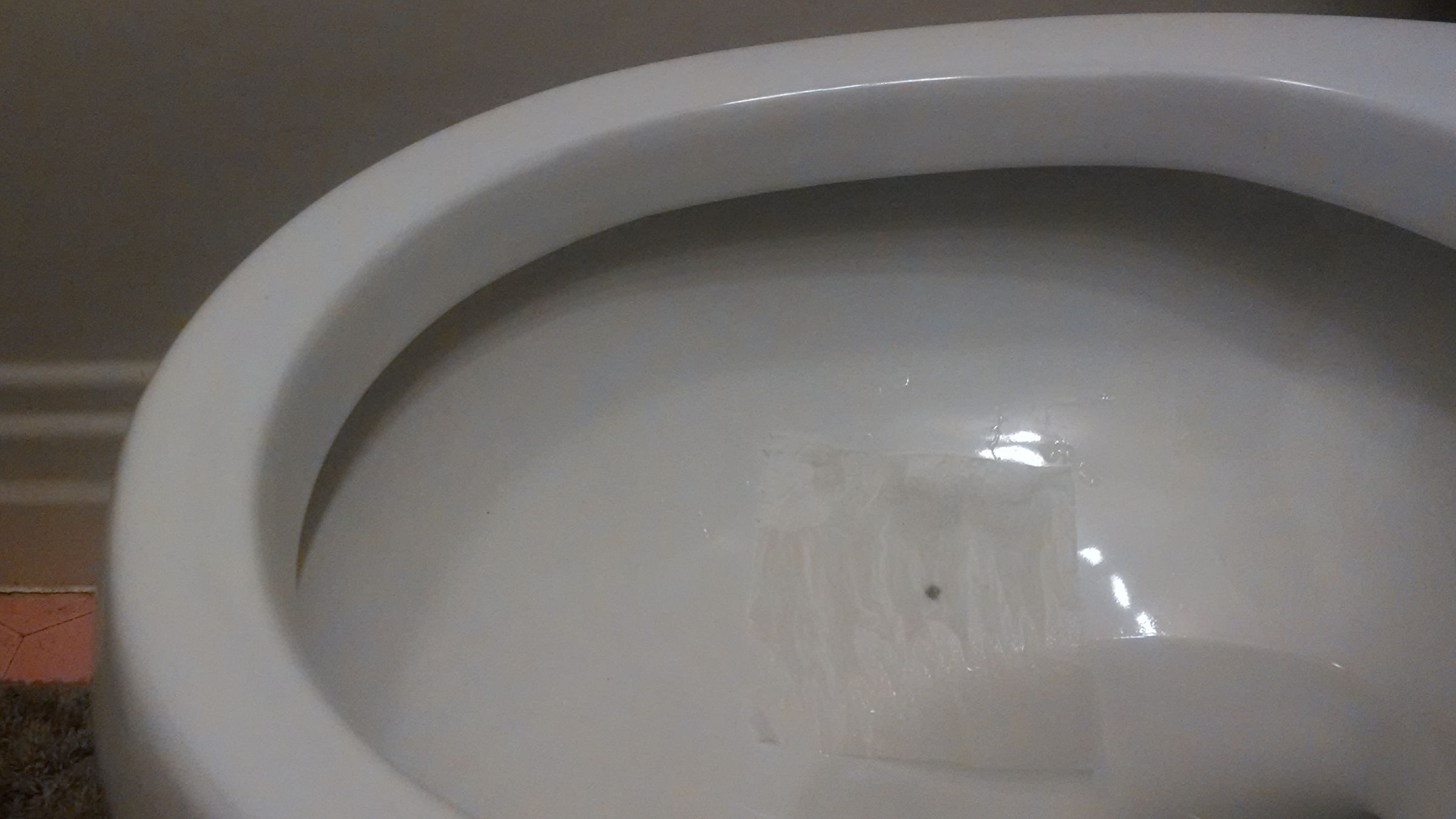 Fight Poo With Pee, and Win. - Instructables