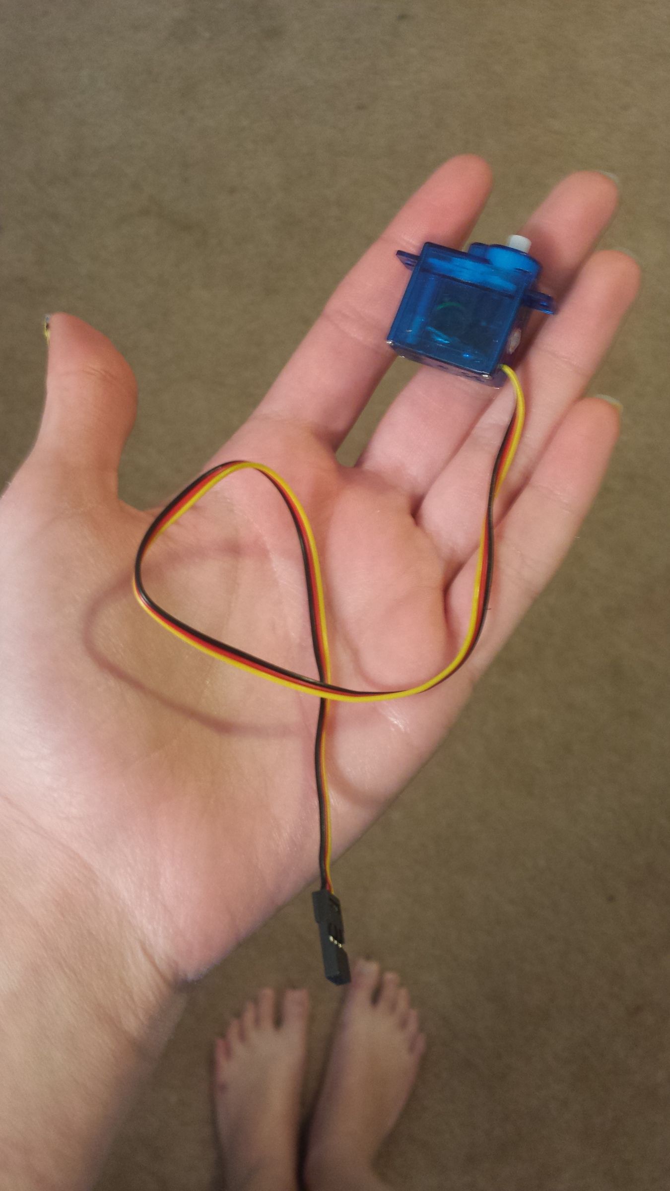 How to Build Your Own Animatronic Teddy Bear : 10 Steps - Instructables