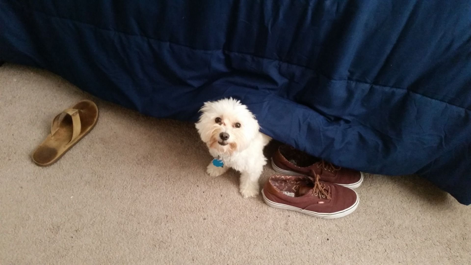 Brobot: the Emotionally Responsive Robot : 6 Steps (with Pictures ...