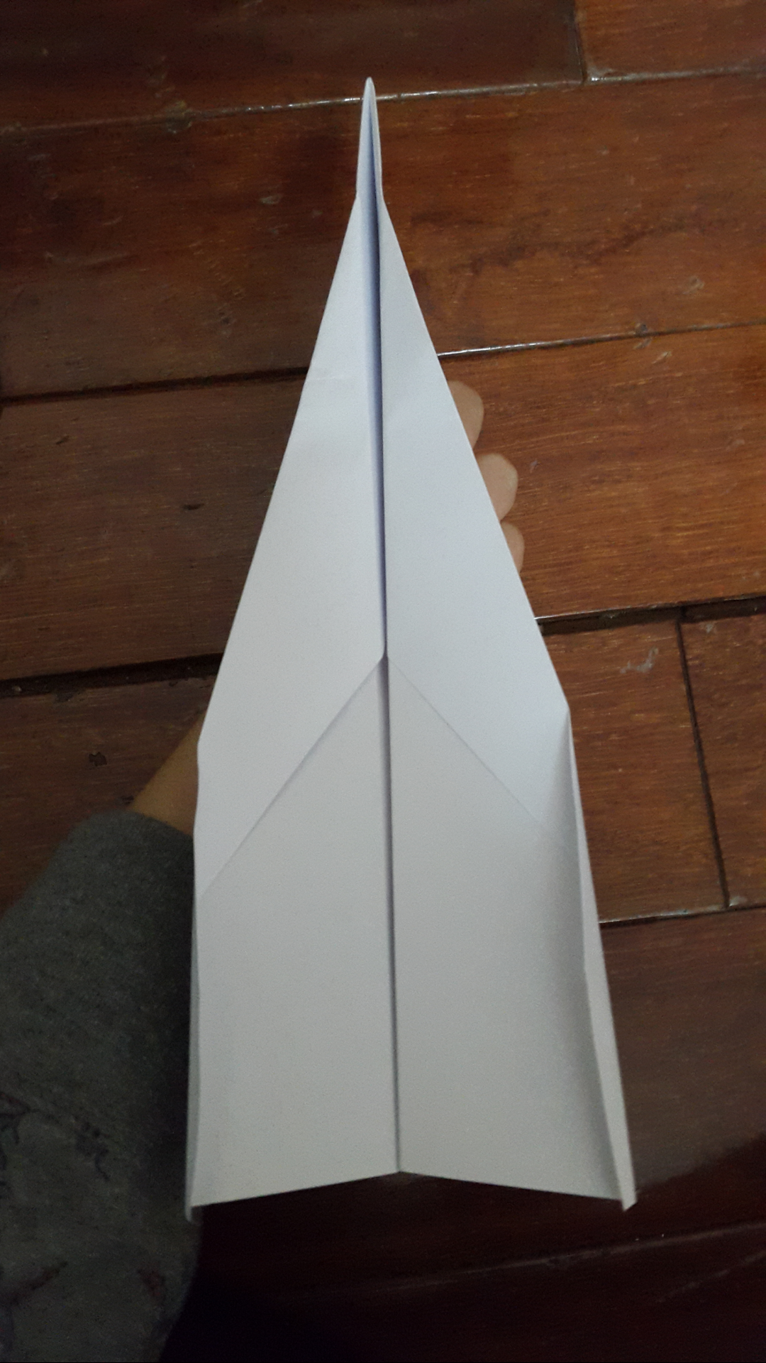 Paper Plane : 11 Steps - Instructables