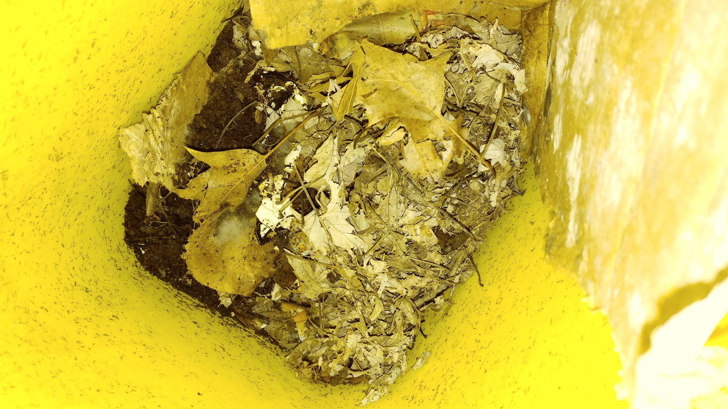 Litter Container Worm Farm : 5 Steps - Instructables