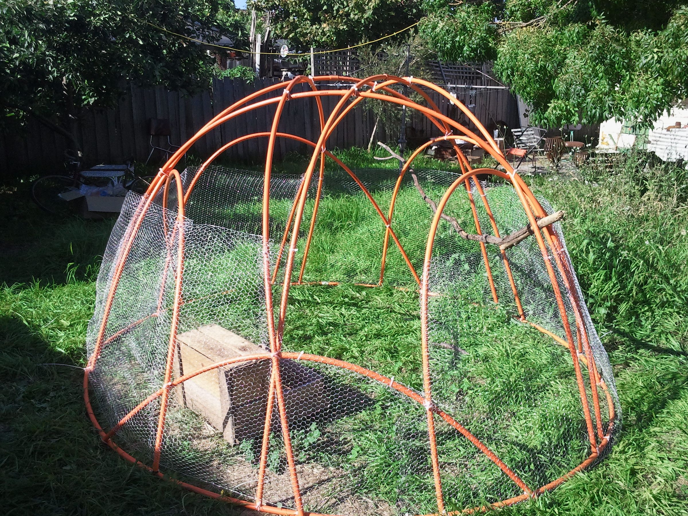 Chook Dome - Domestic Size : 6 Steps - Instructables