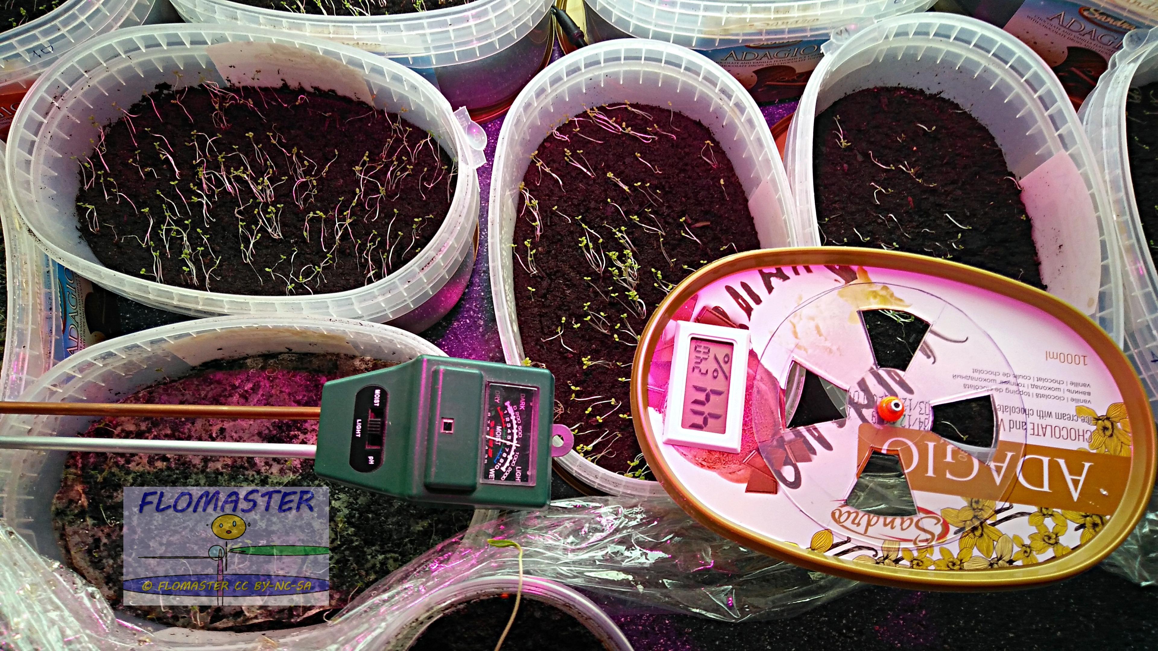 🌼 DIY Seedling Propagator From Recycled Plastic Container 🌼 : 12 Steps ...