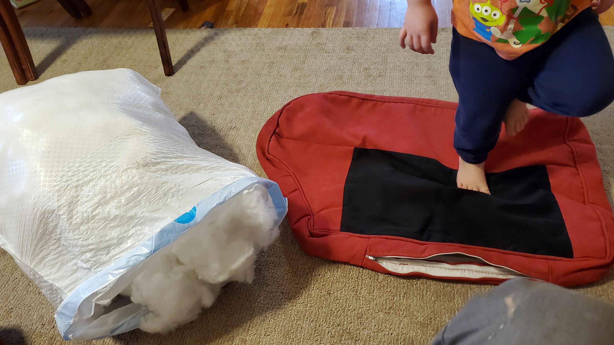 Couch Cushion Reform and Cat Sitting Deterrent : 3 Steps - Instructables