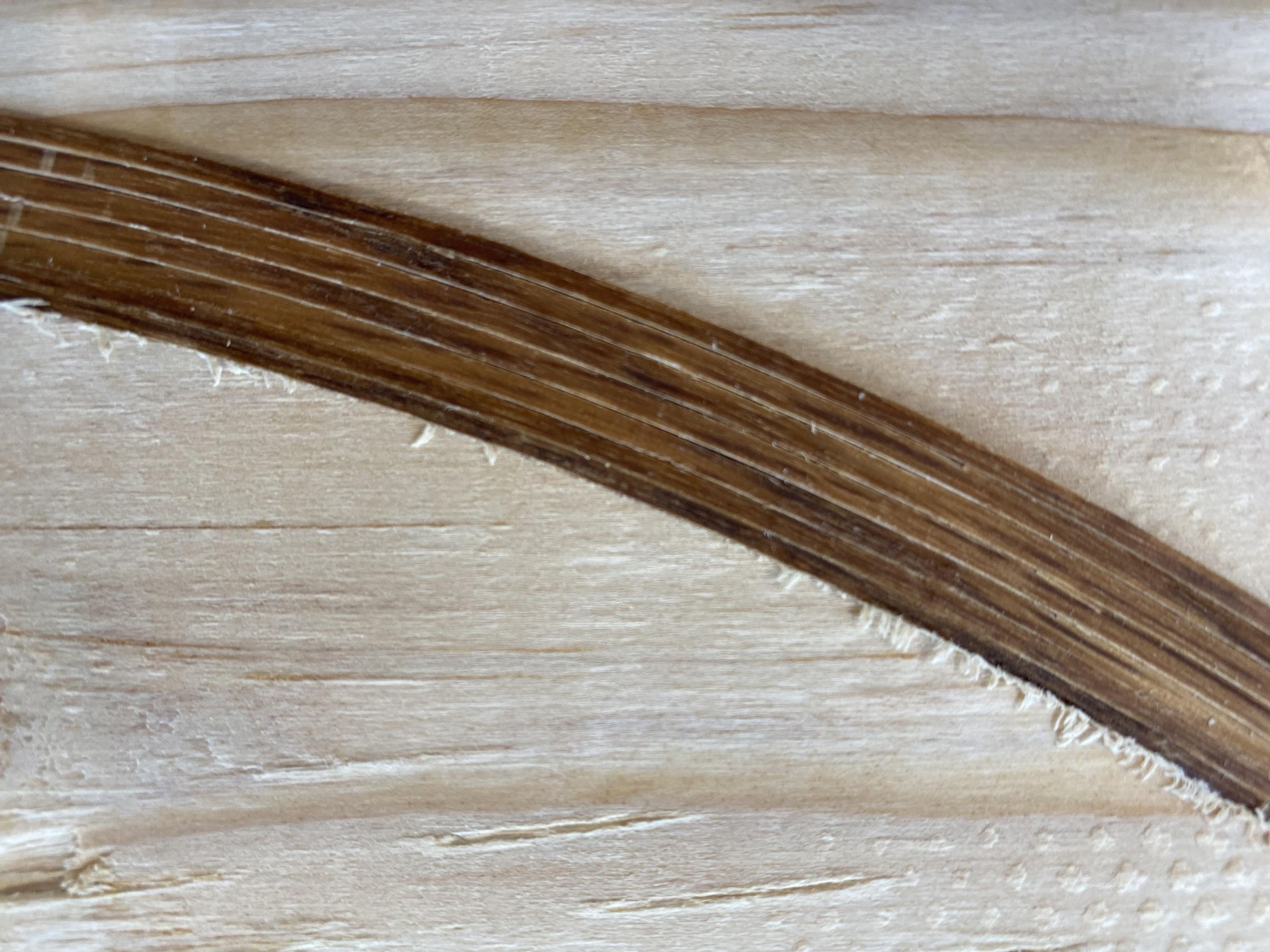 Bending Wood : 6 Steps (with Pictures) - Instructables