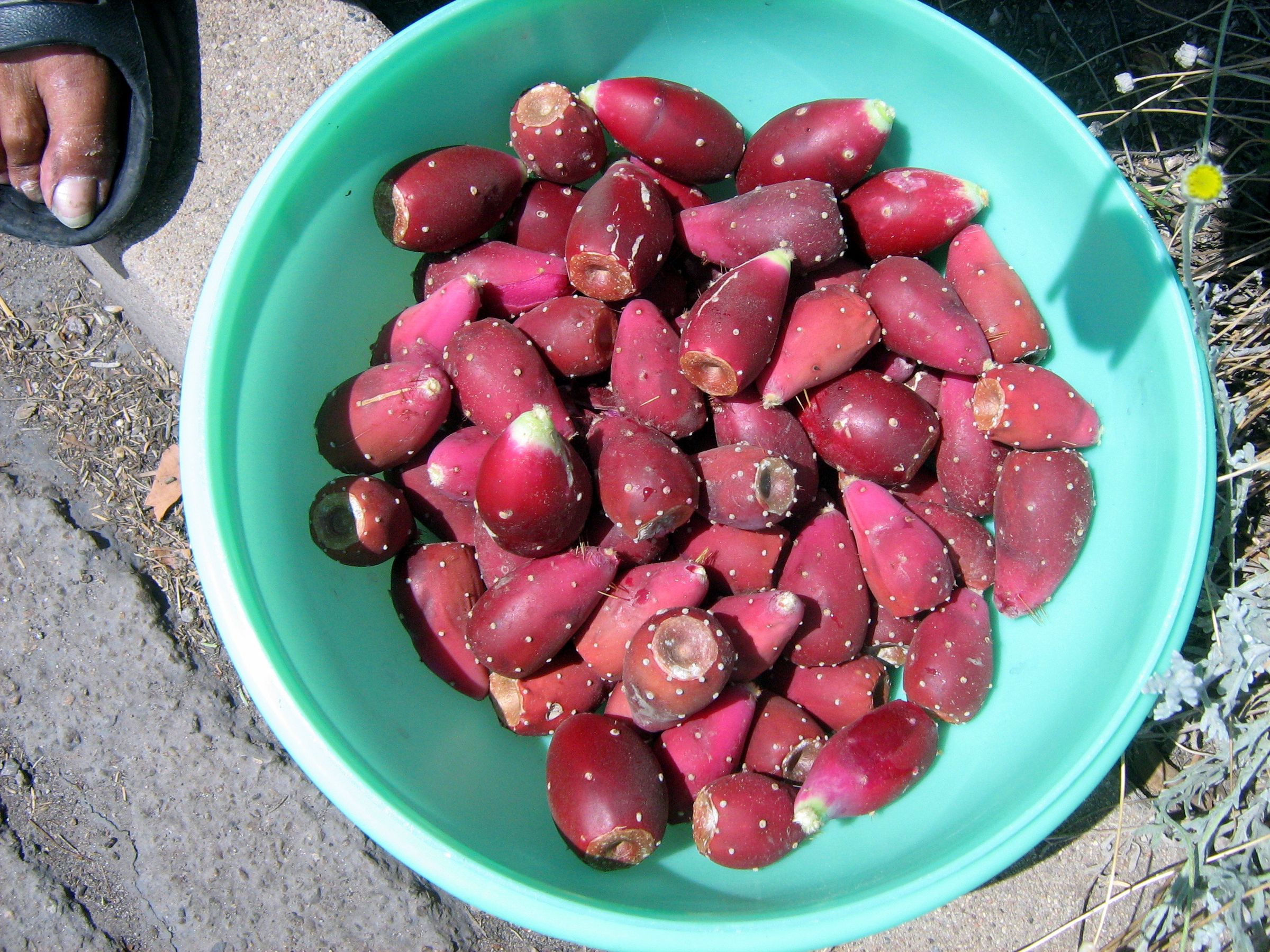 Make Prickly Pear Juice (Nopal, Nopales, Oputina, Tuna) : 7 Steps (with ...