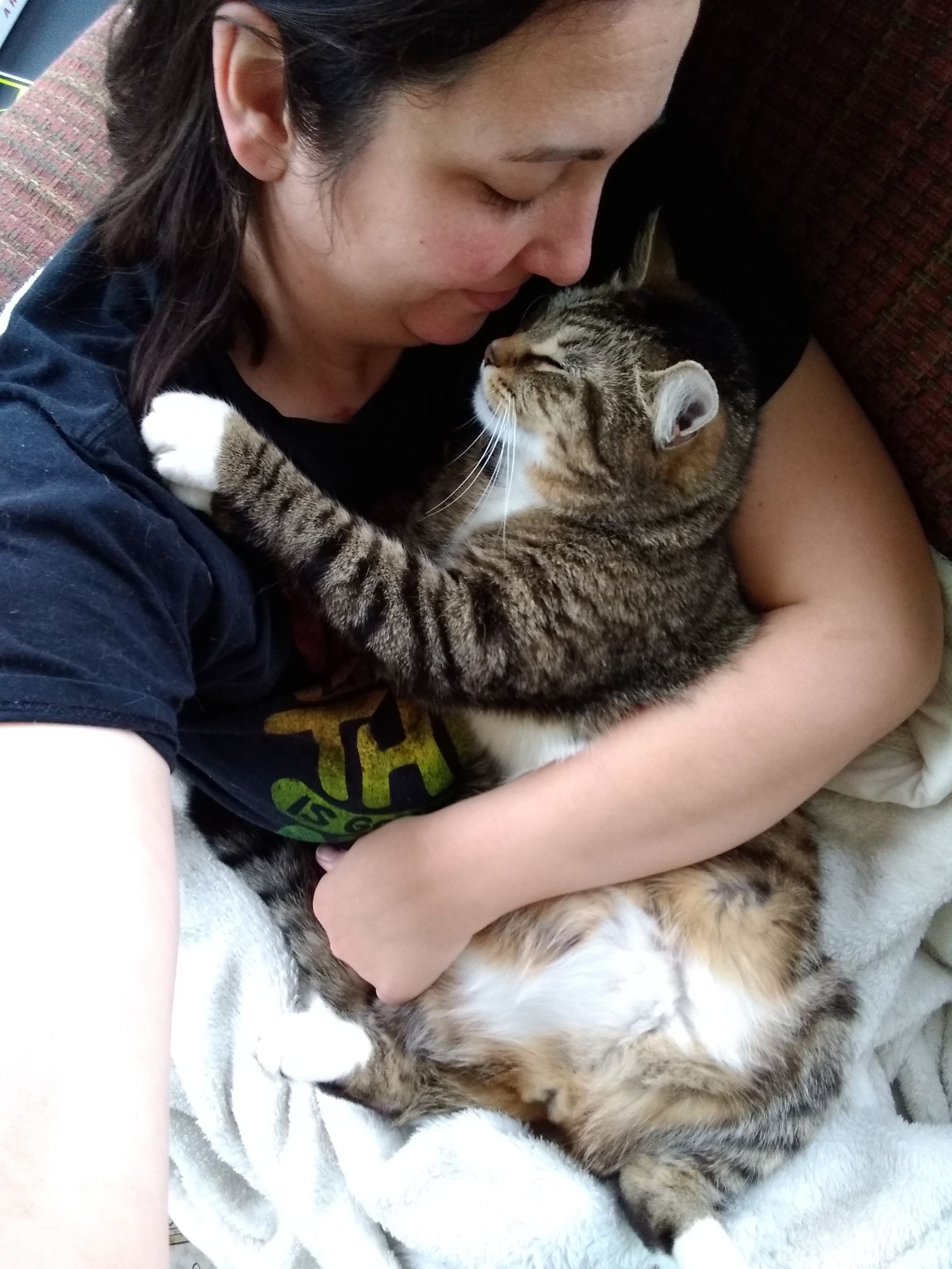 How To: Lull Your Cat to Sleep : 14 Steps (with Pictures) - Instructables