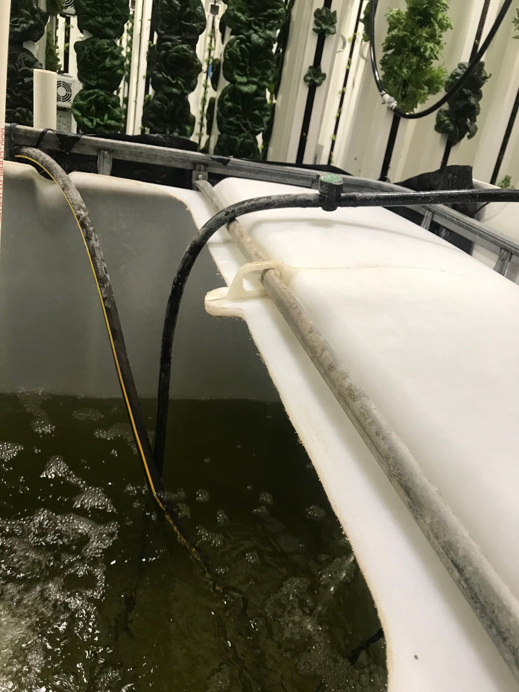 Hydroponics Controller : 7 Steps (with Pictures) - Instructables