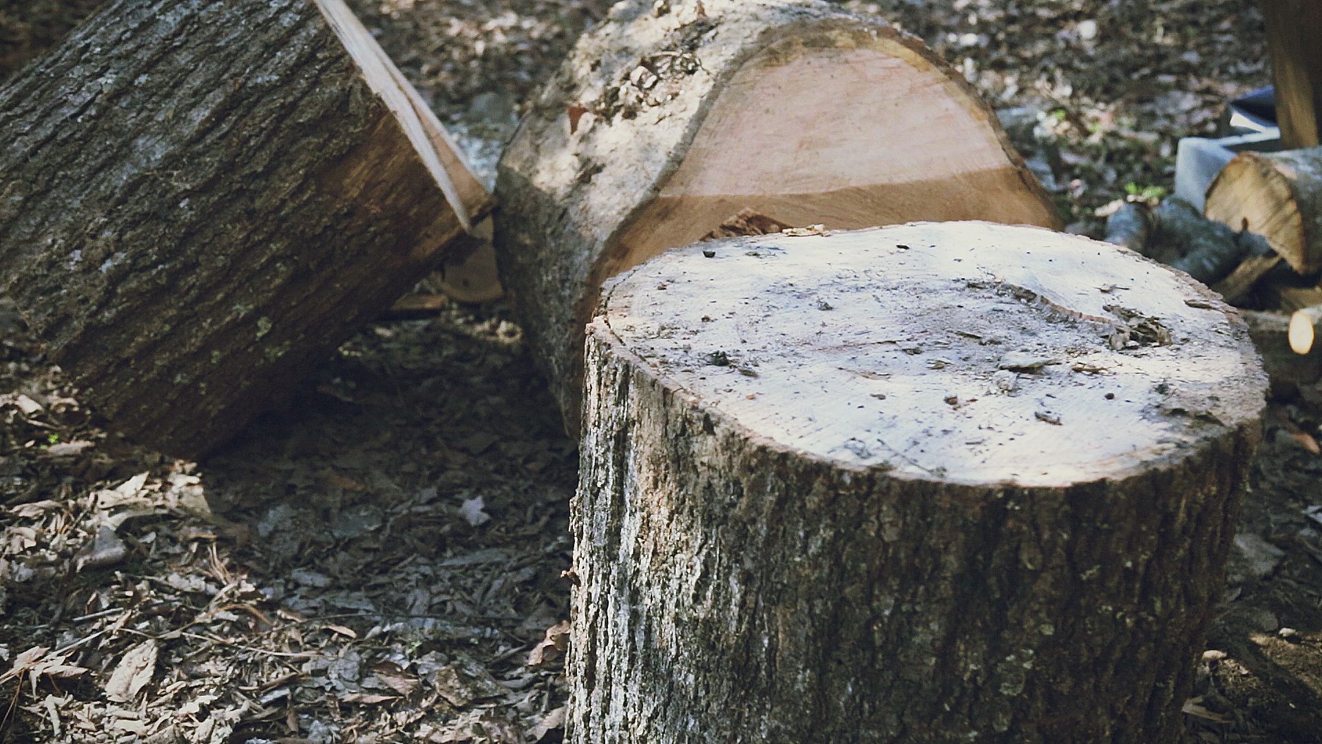 How to Split Large Rounds of Wood Easily : 5 Steps (with Pictures ...