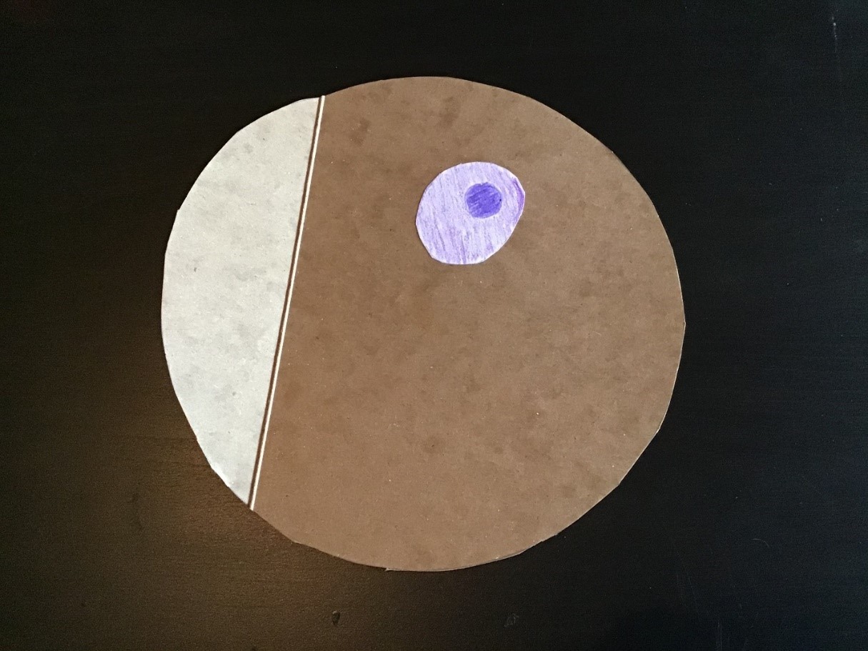 Build a Model of a Human Cell : 8 Steps (with Pictures) - Instructables