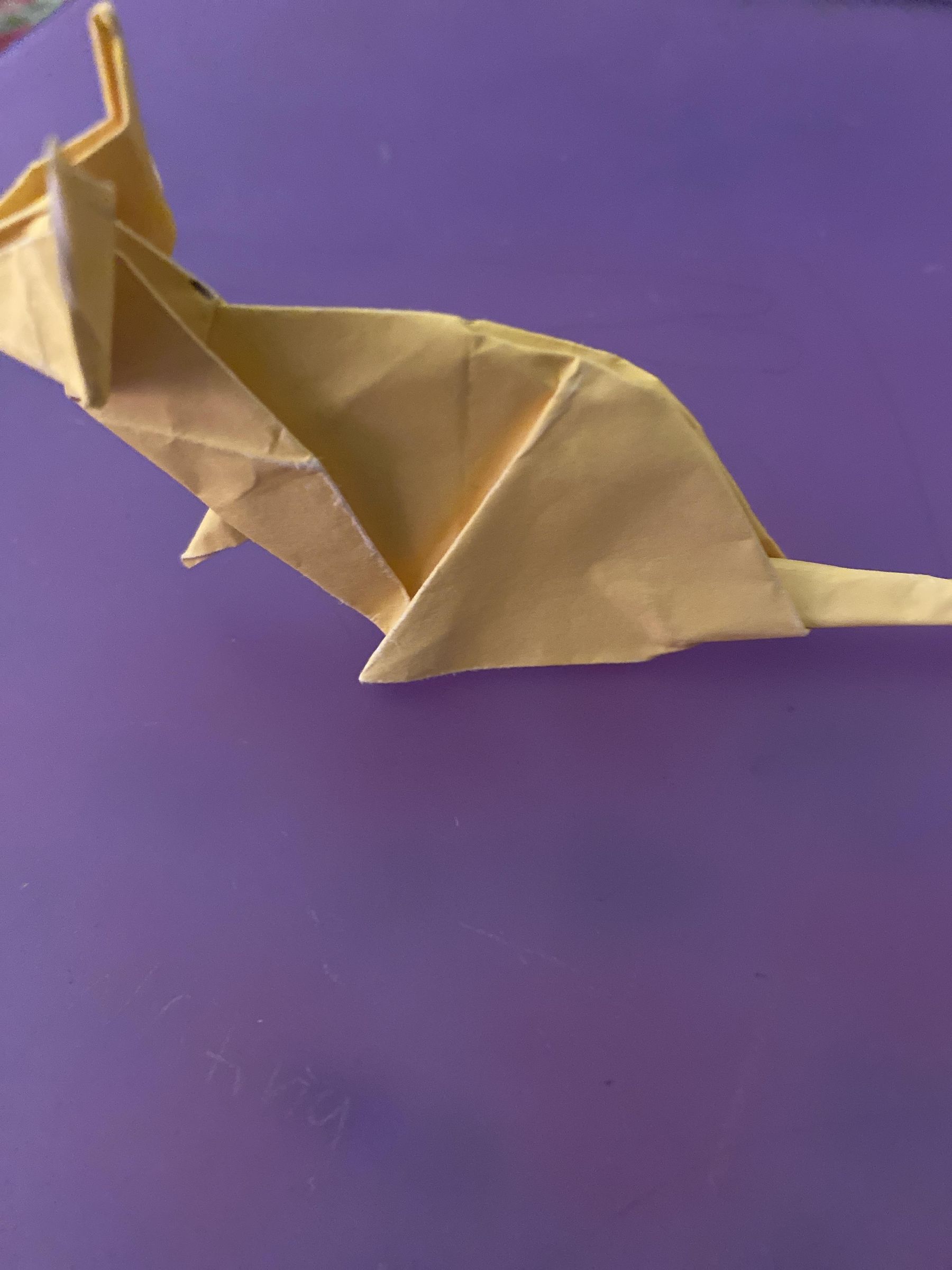 Origami Rat : 27 Steps - Instructables
