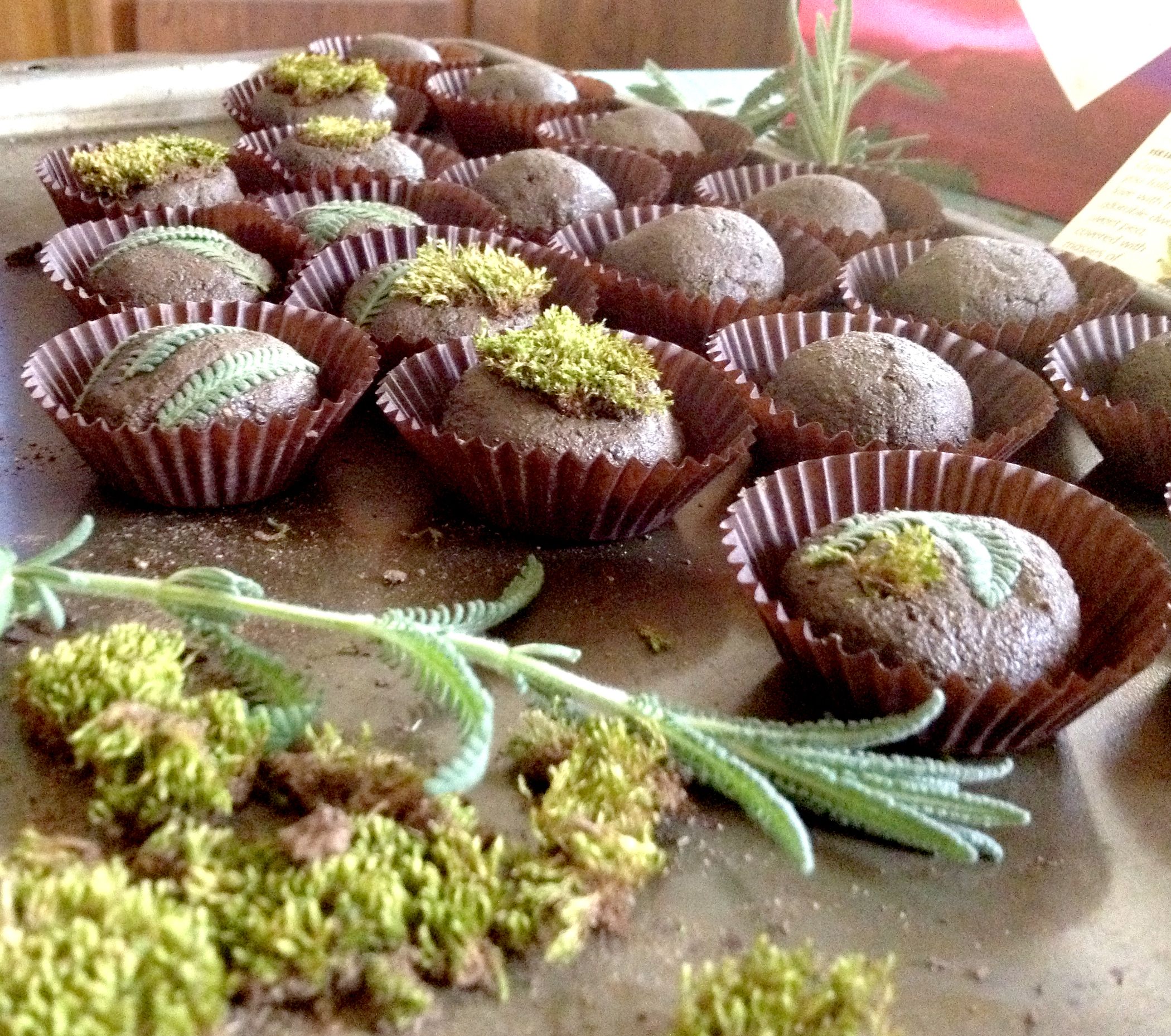 Seed Bon Bons : 6 Steps (with Pictures) - Instructables