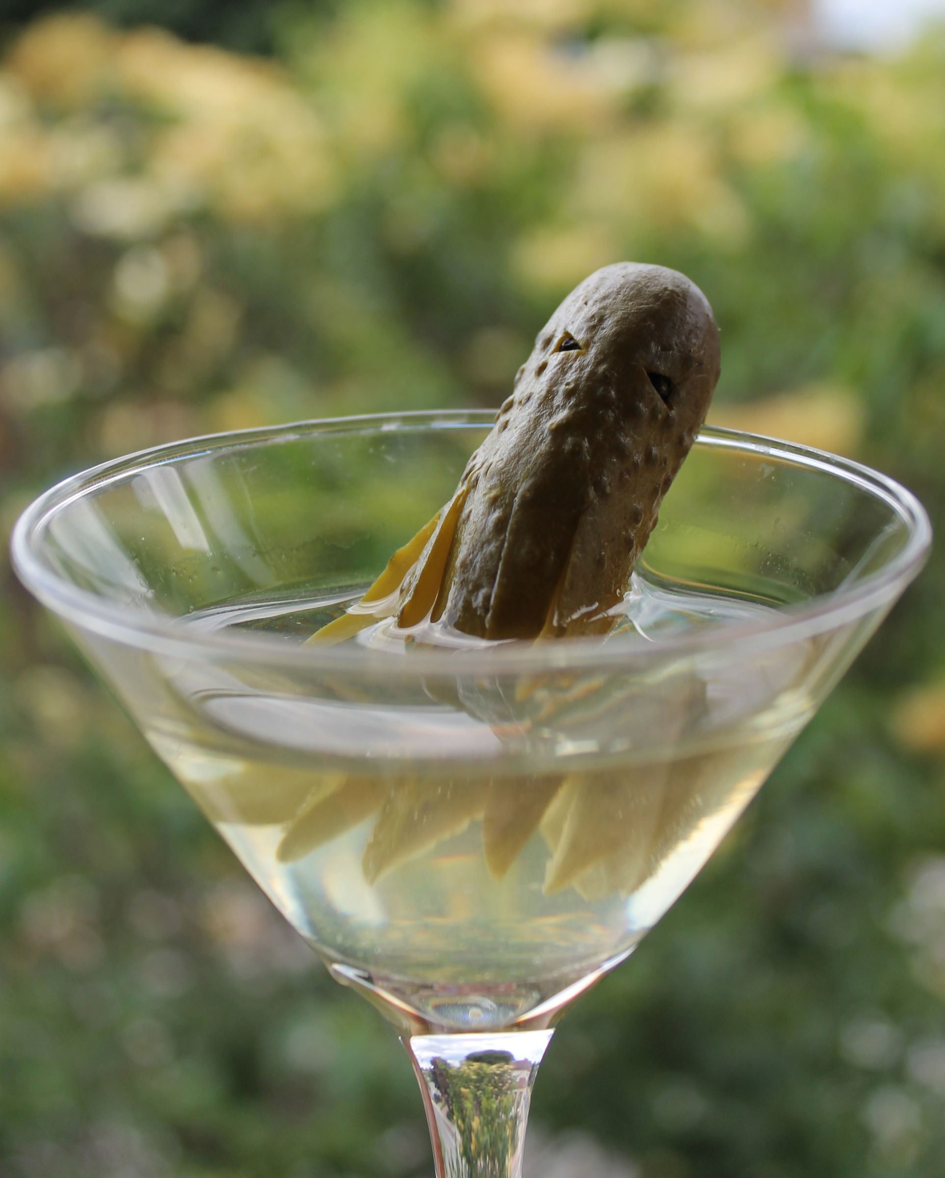 Kraken Pickletini (with Pictures) - Instructables